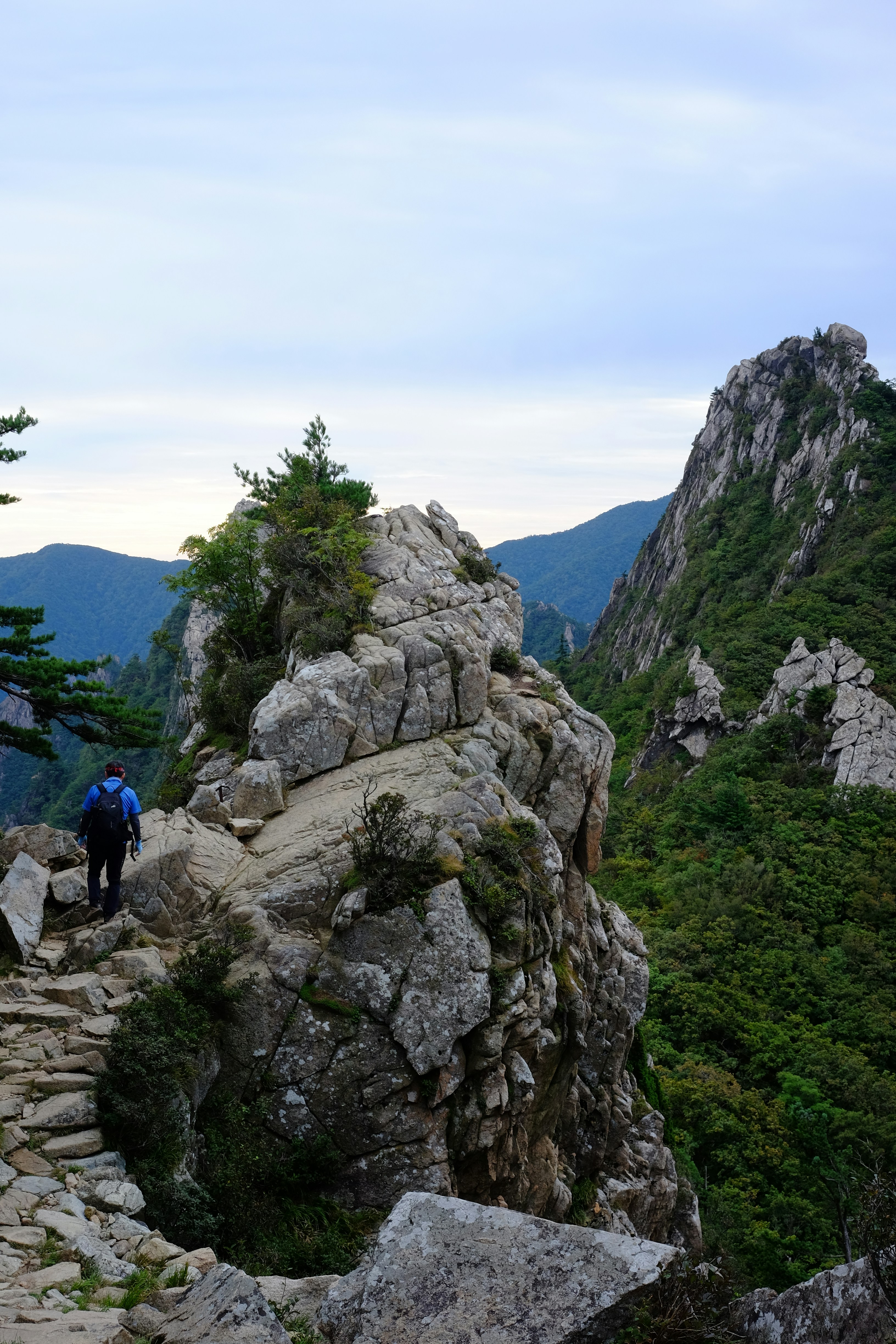 Trail Warrior on a Jagged Skyline