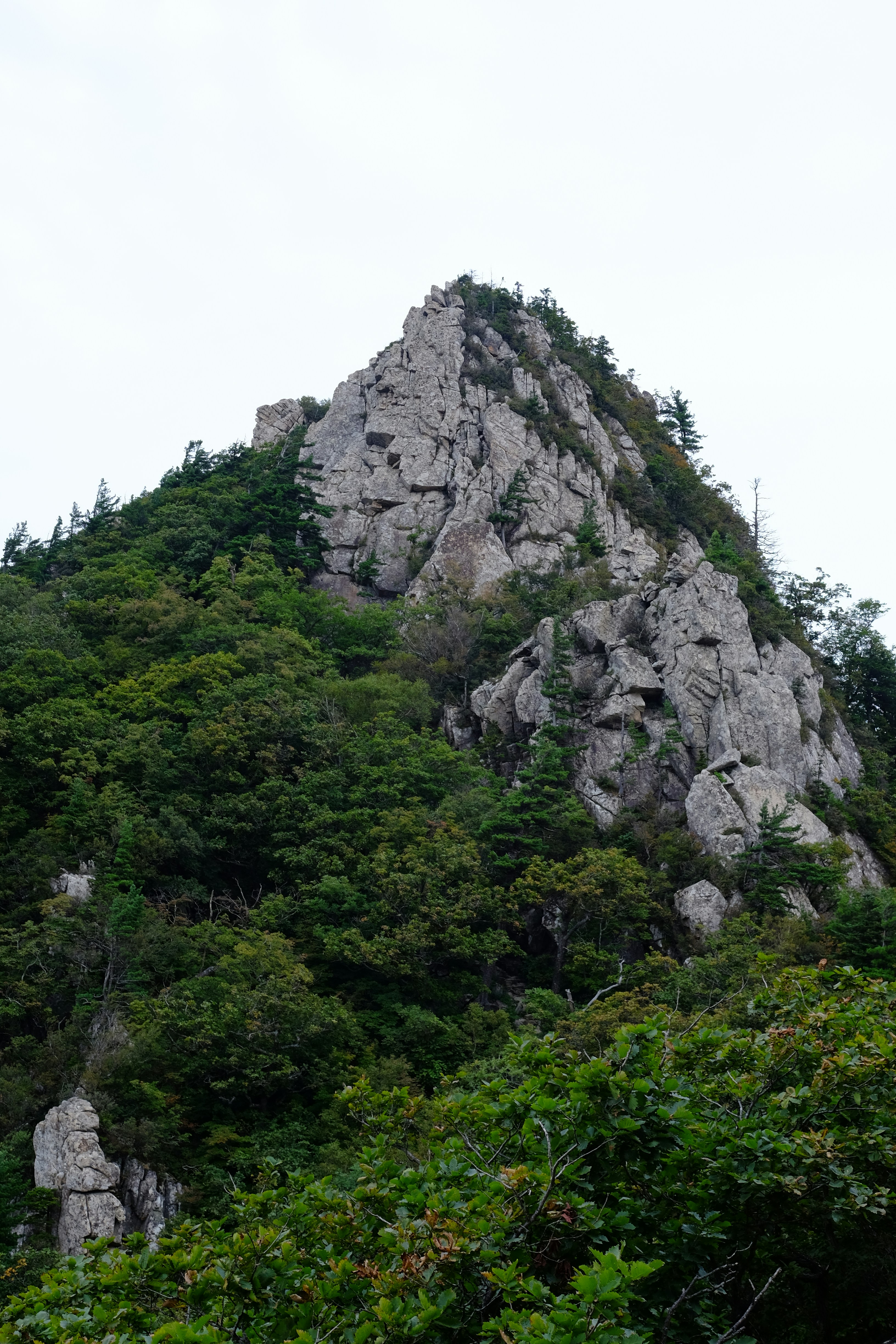 Granite Sentinel: a rugged peak piercing the forest