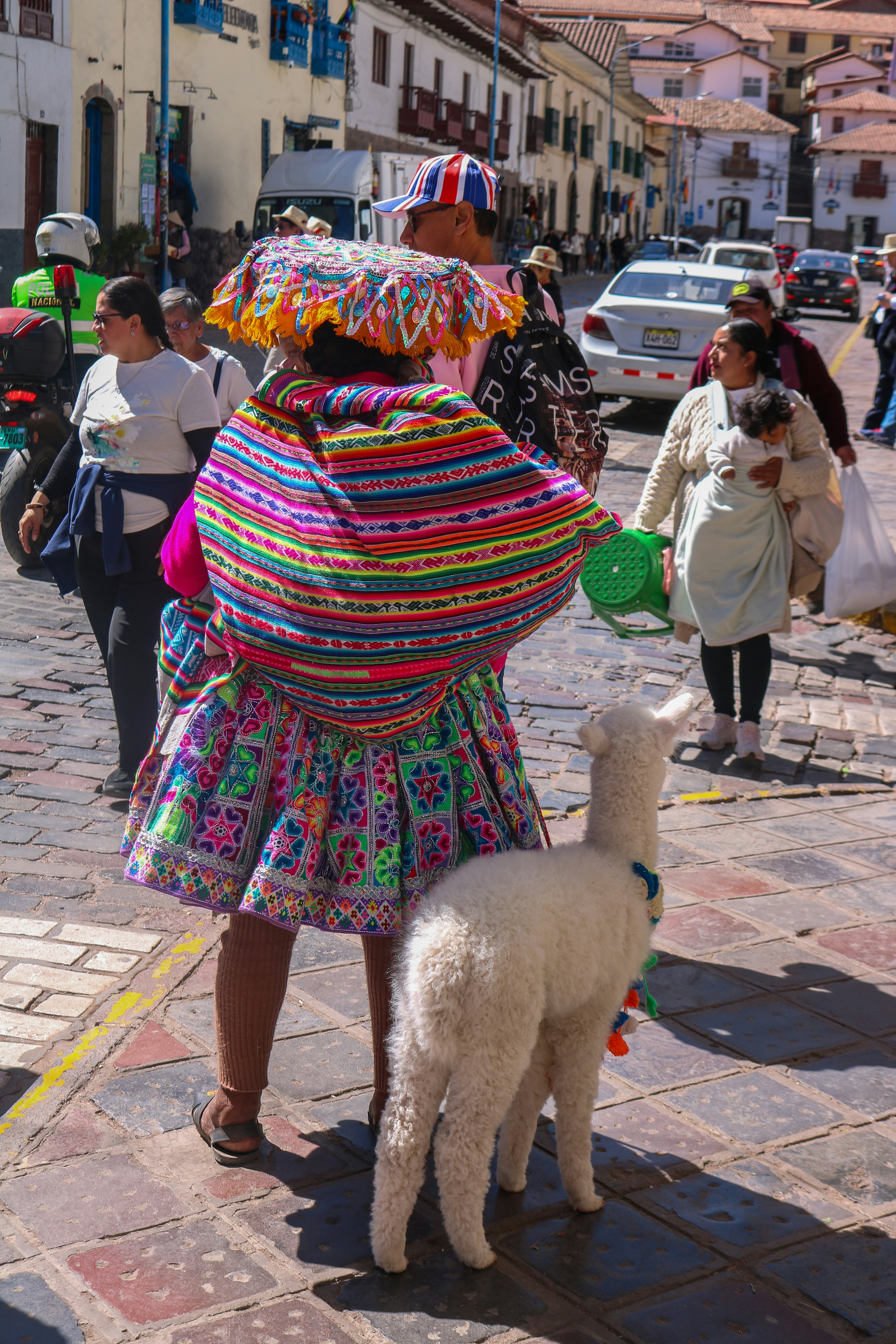 Colorful Sombrero and Llama-like Moment in a Quirky Calle