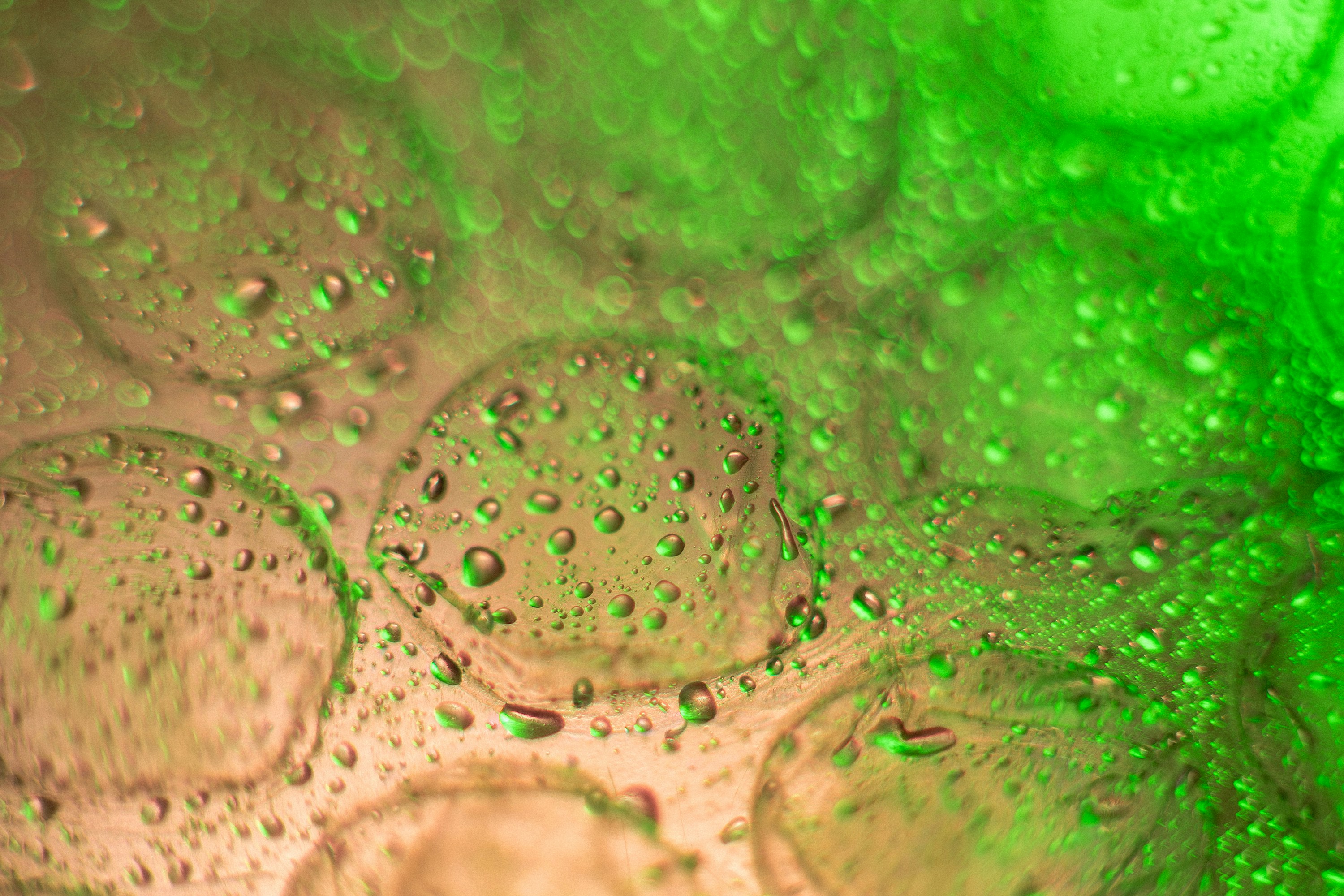 Orbital Bubbles in Green-tinged Oil Glaze
