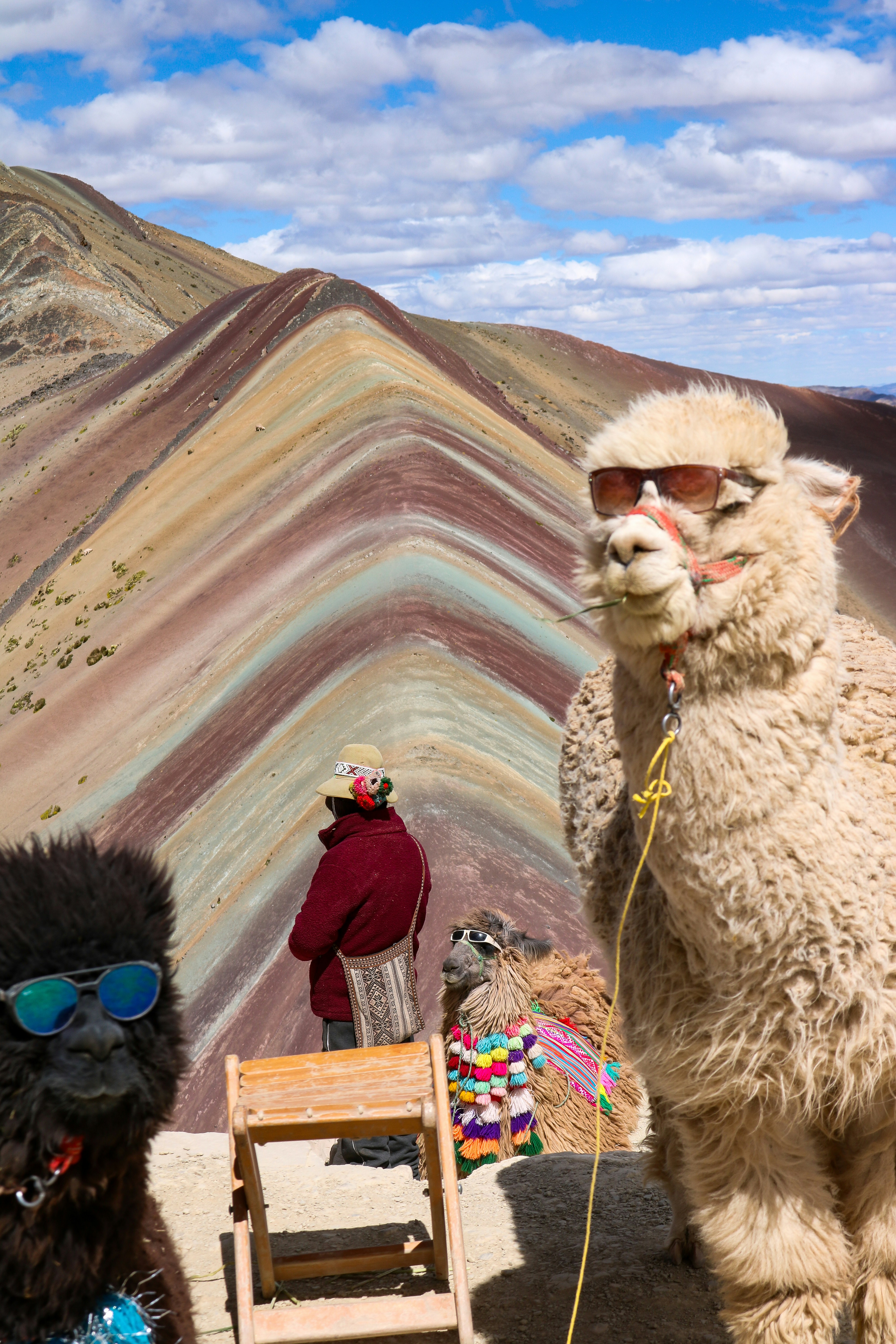 Rainbow Ridge with Llamas: A Colorful Desert Panorama