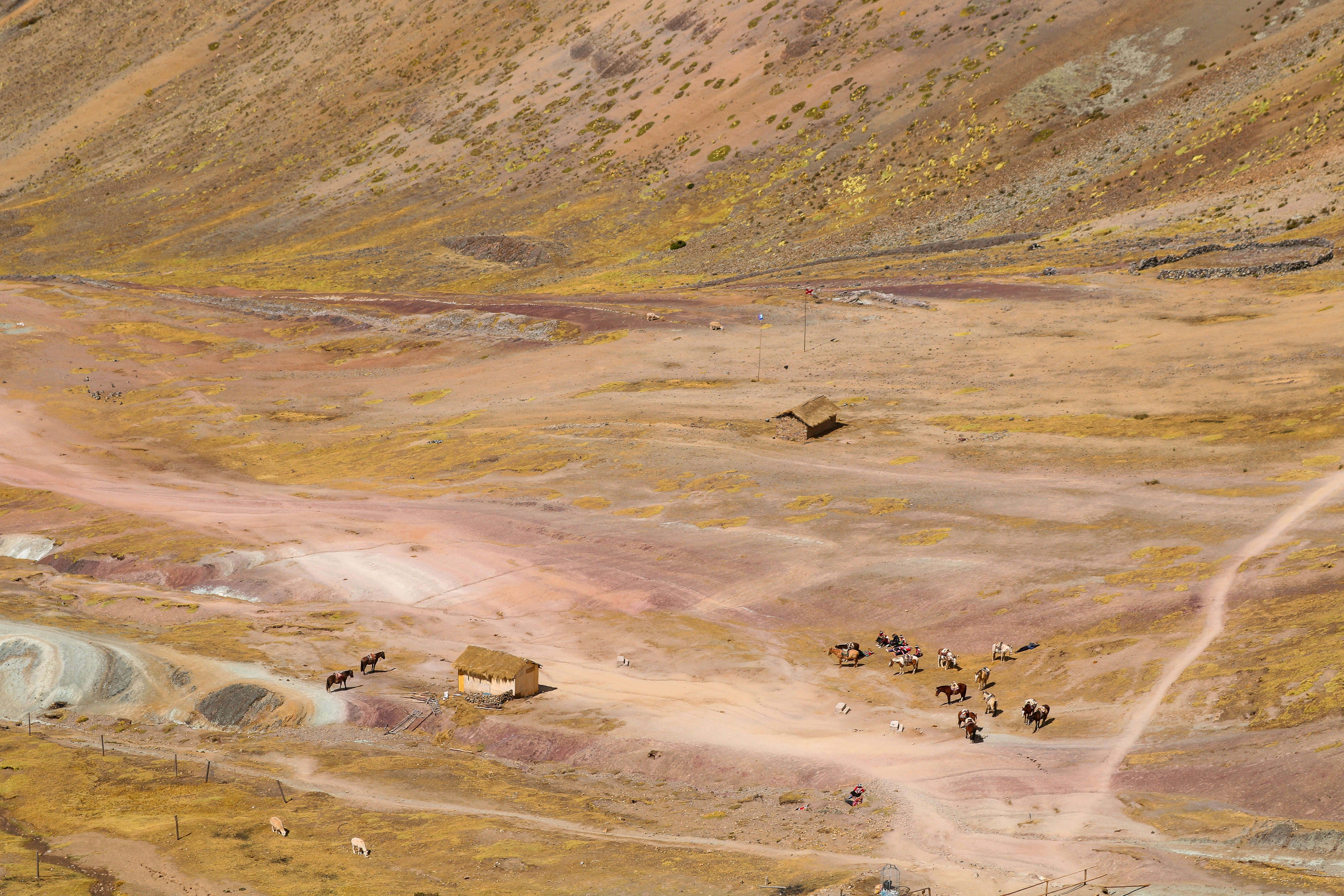 Deserted Homestead amid Deserted Terrains