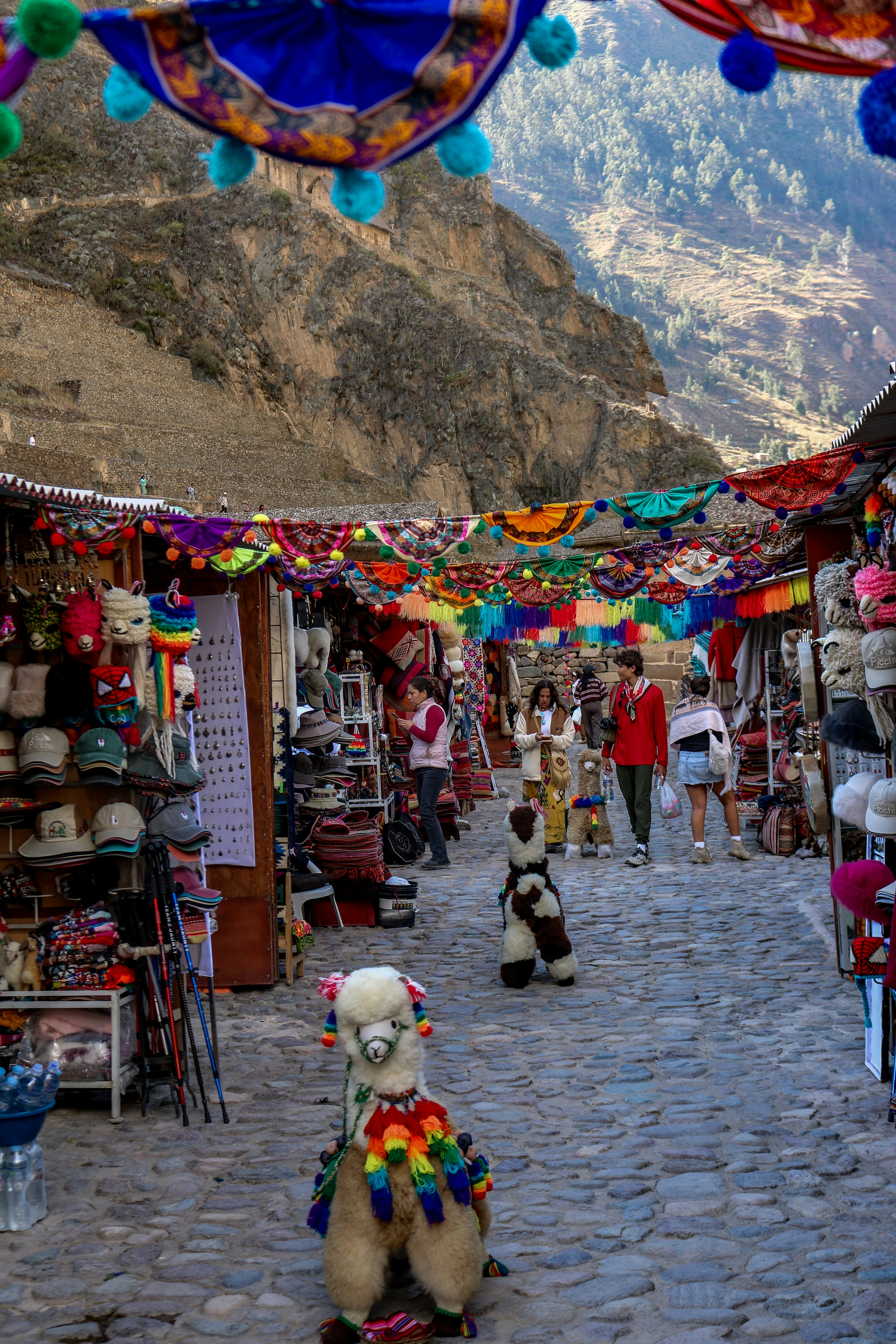 Llamas and Luminarias: A Colorful Market Trek at the Foot of a Mountain