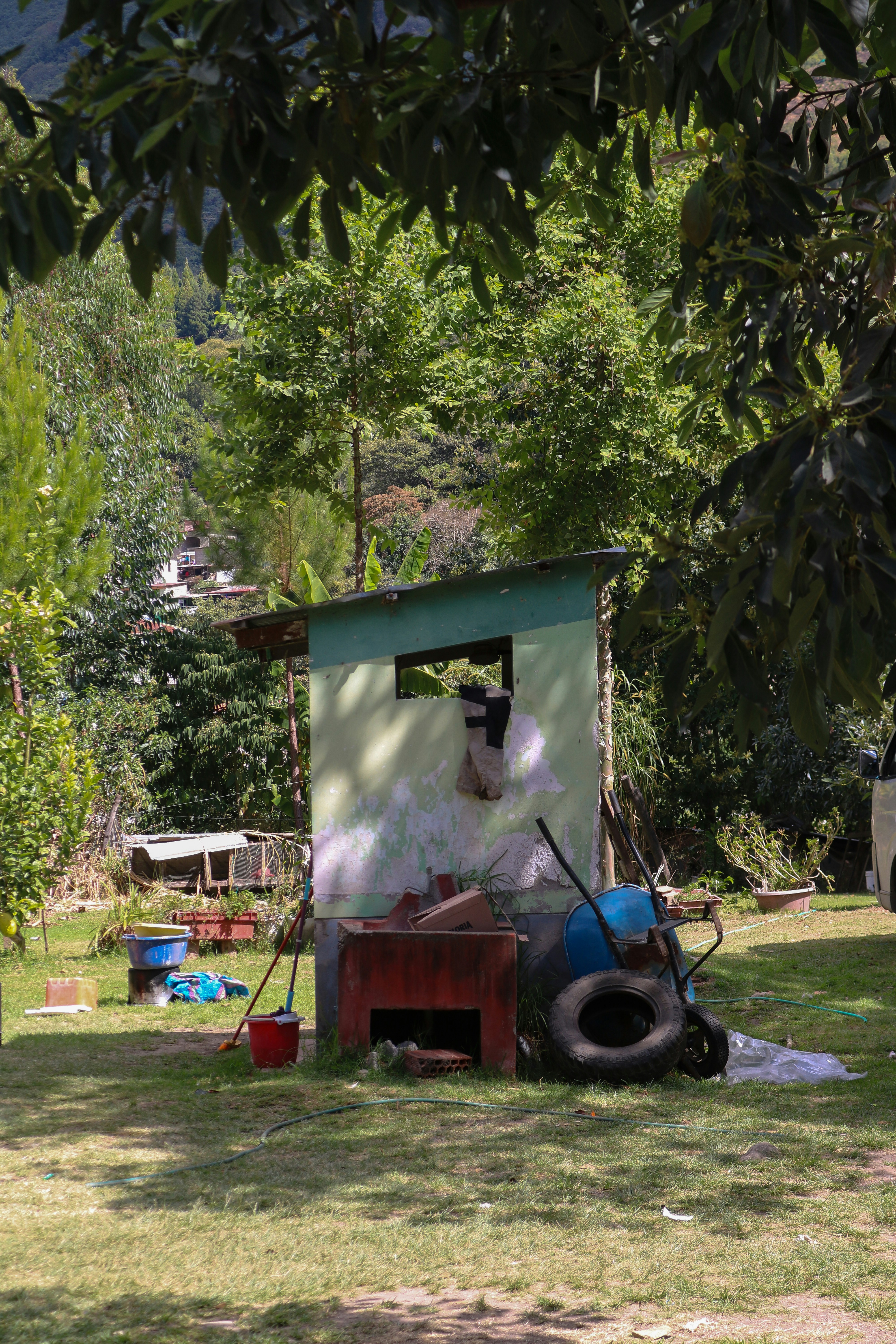 Rustic Yard Studio: A Makeshift Shelter Amid Greenery