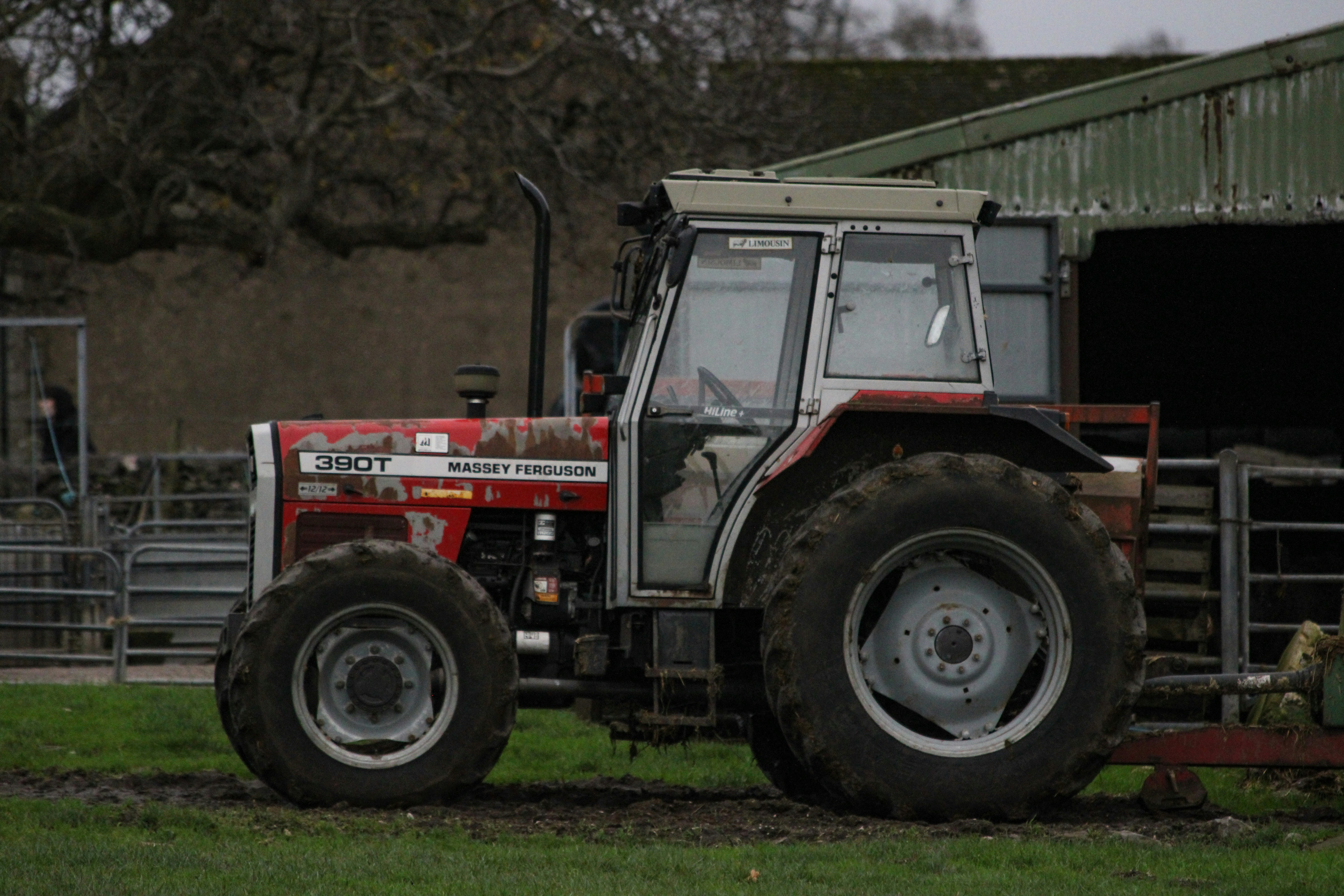 Rusty Massey Ferguson Stands in Quiet Farmyard