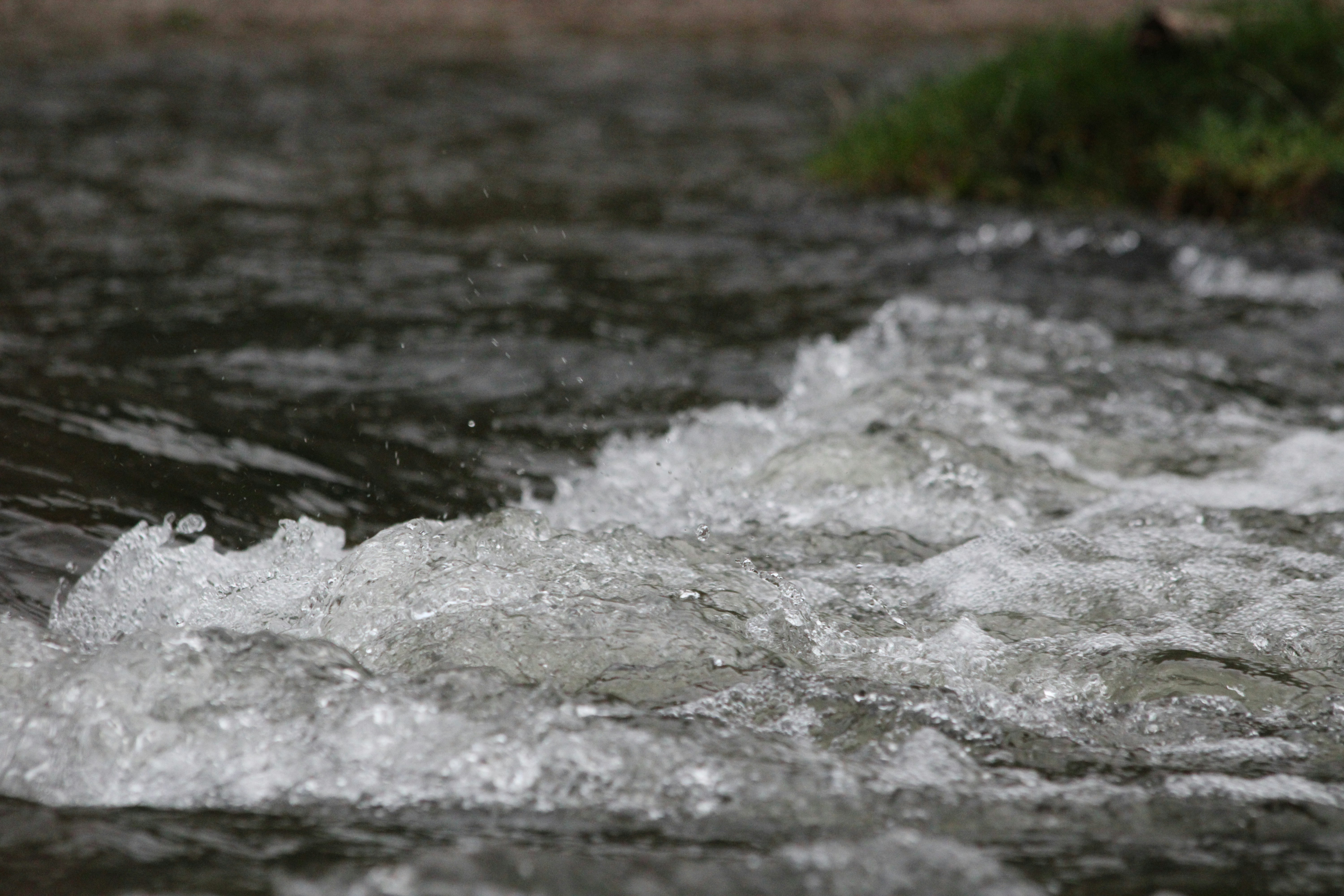 Rushing Stream Crest: A Close-Up of Shallow White Water