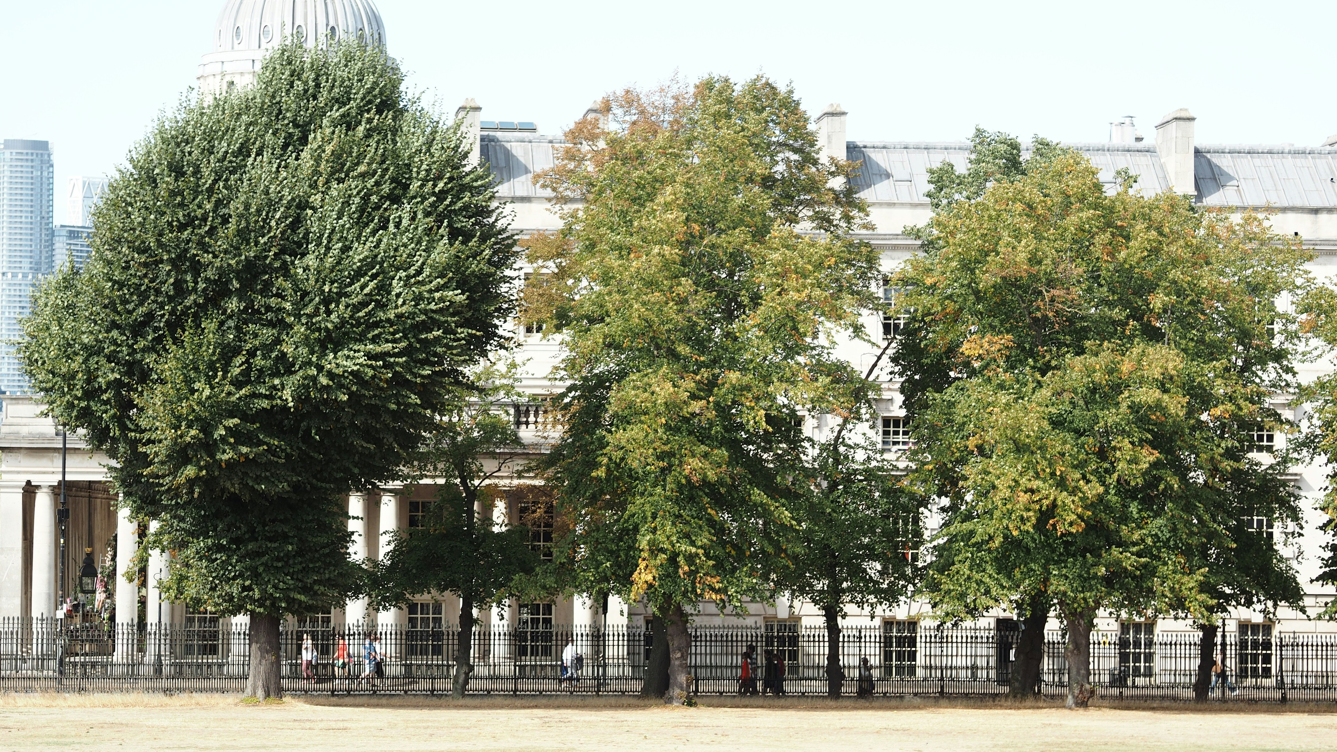 Shaded Row: Trees and Historic Facade Beneath a Quiet City Park