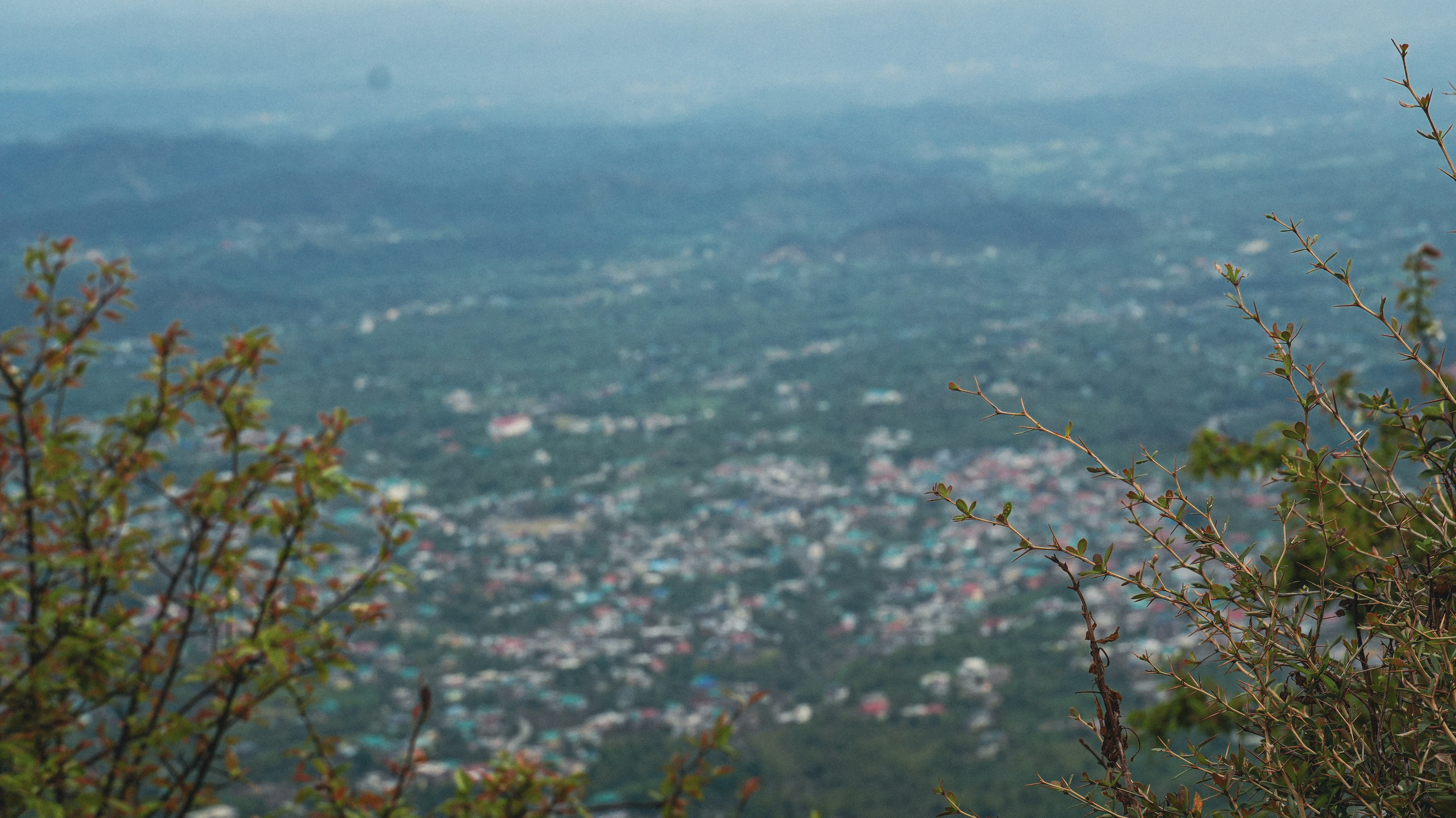 Low-Horizon Valley View from a Hilltop