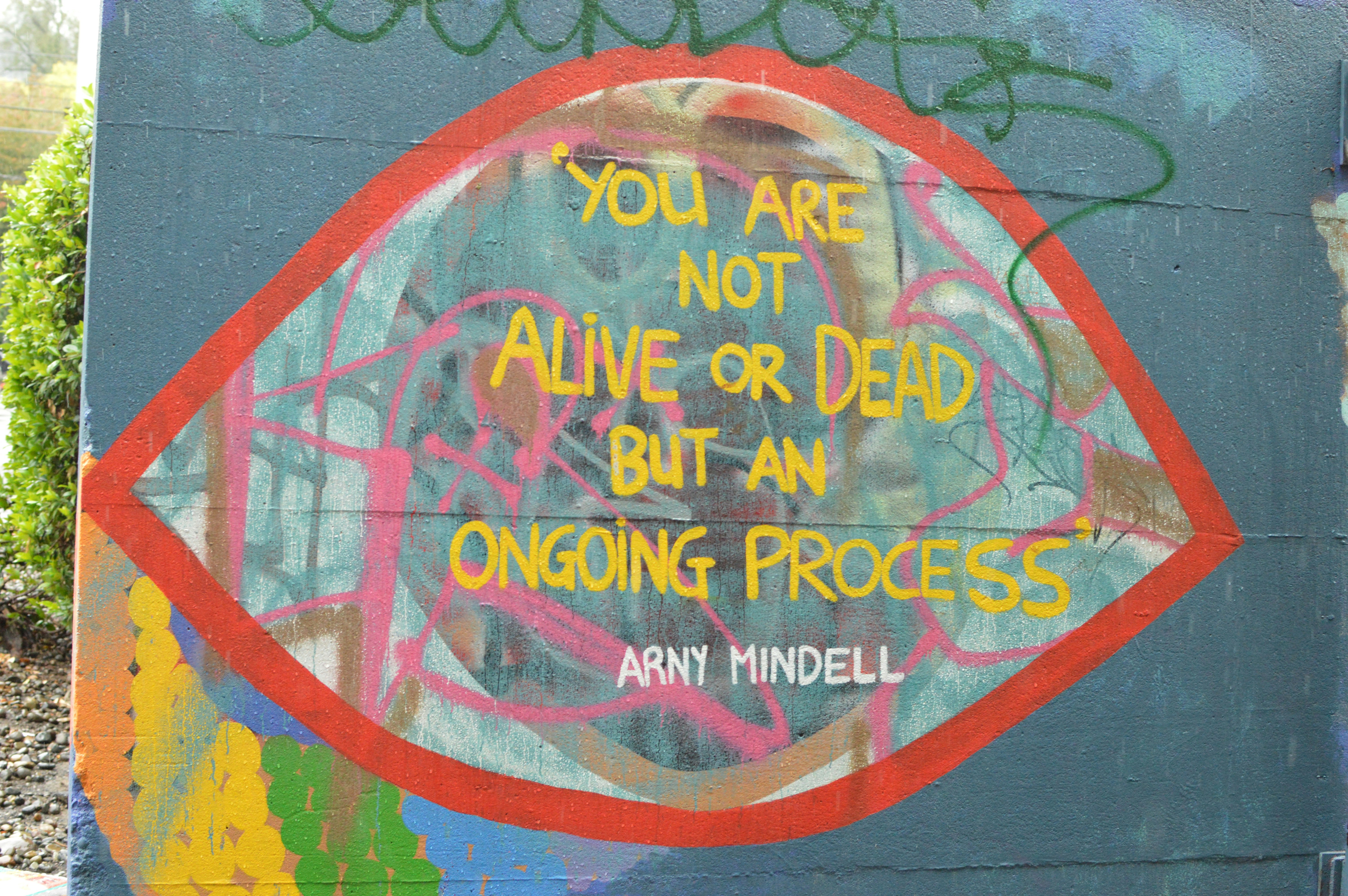 Eye of the Graffiti: Mindful Message in a Red Oval