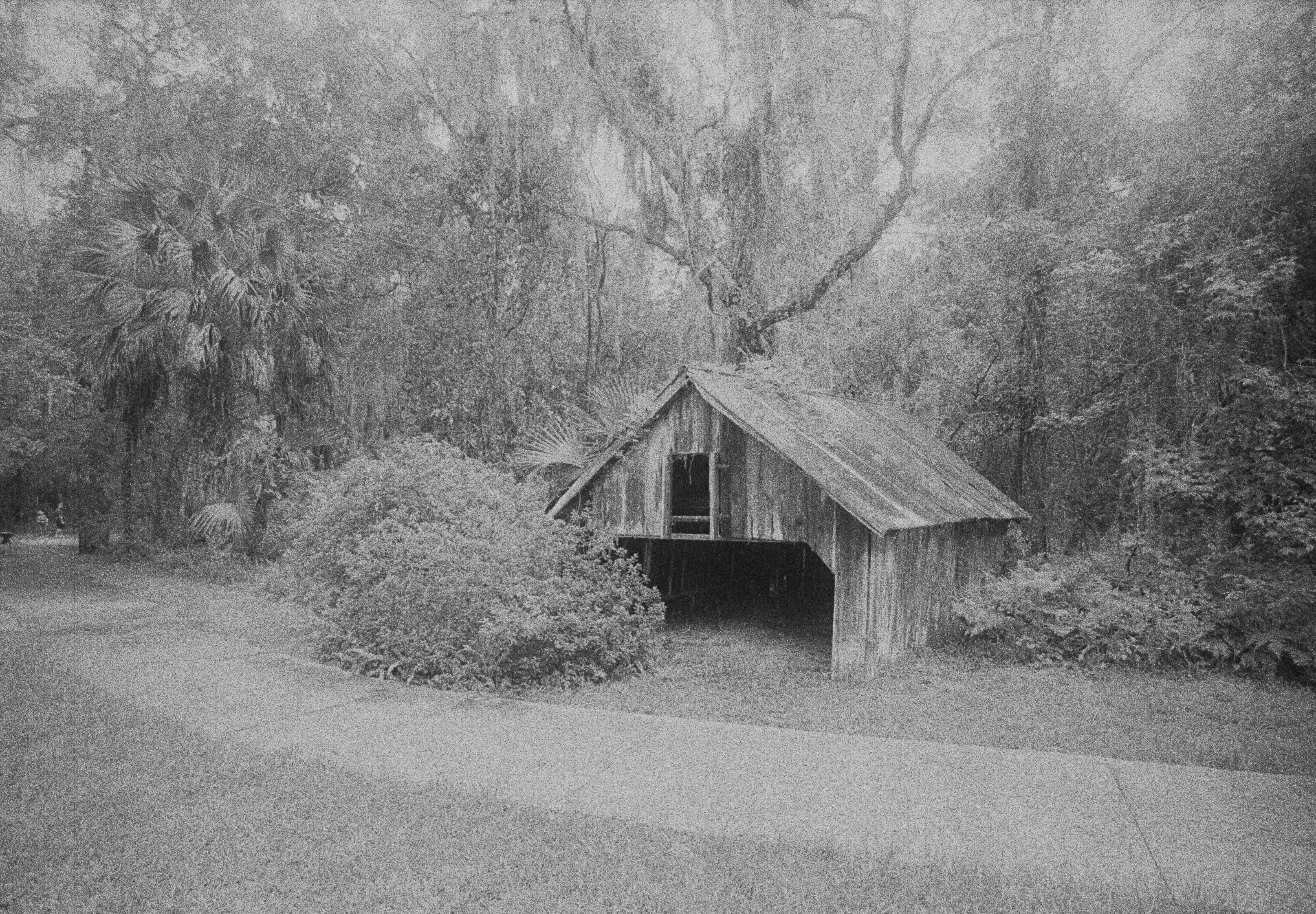 Weathered Shelter in Quiet Parkland
