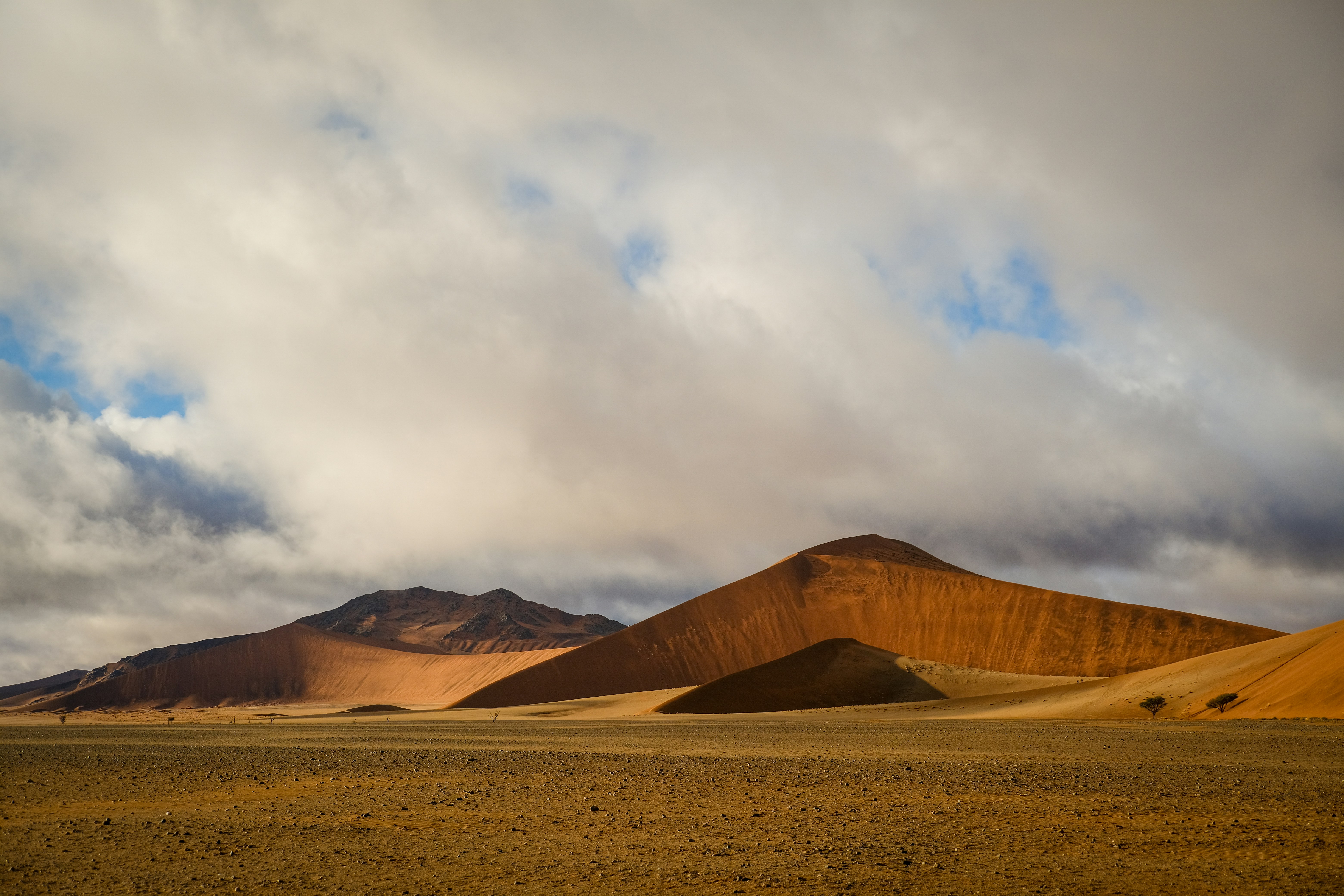 Dune Ridge Under a Quiet Sky