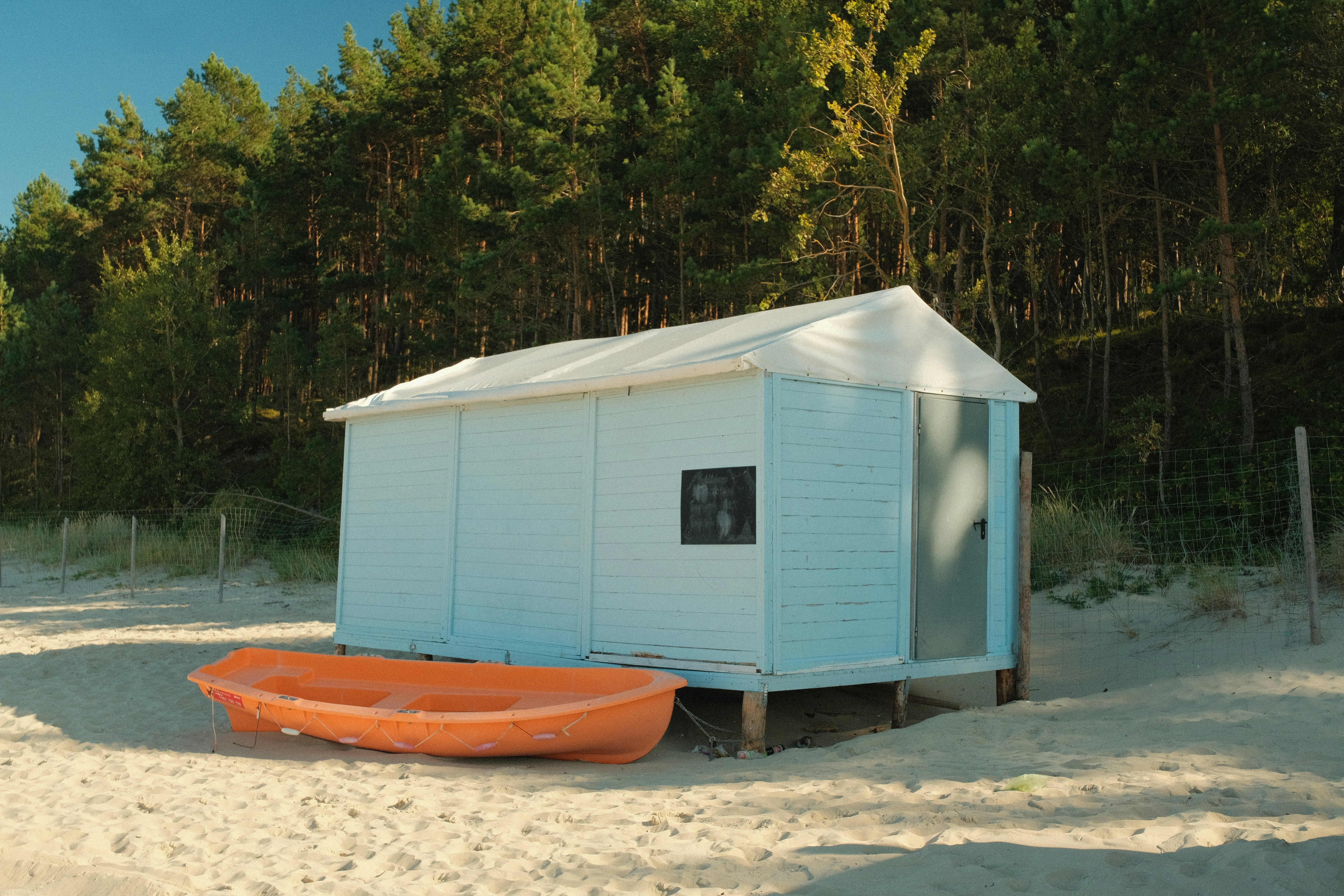 Coastal Shelter: A pale blue beach hut under dappled pine shade