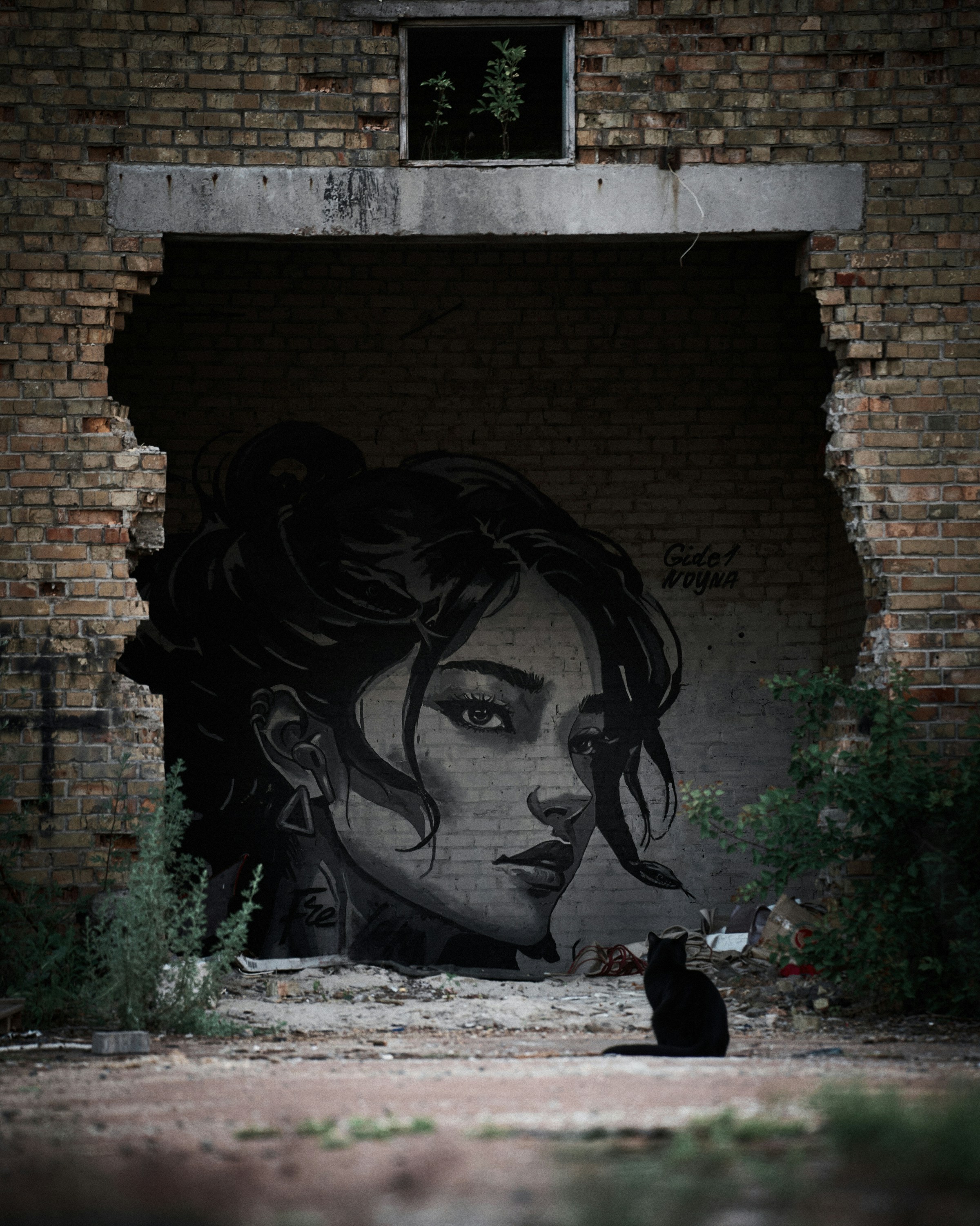 Graffitied Gaze: A Portrait Hidden in Brick Echoes