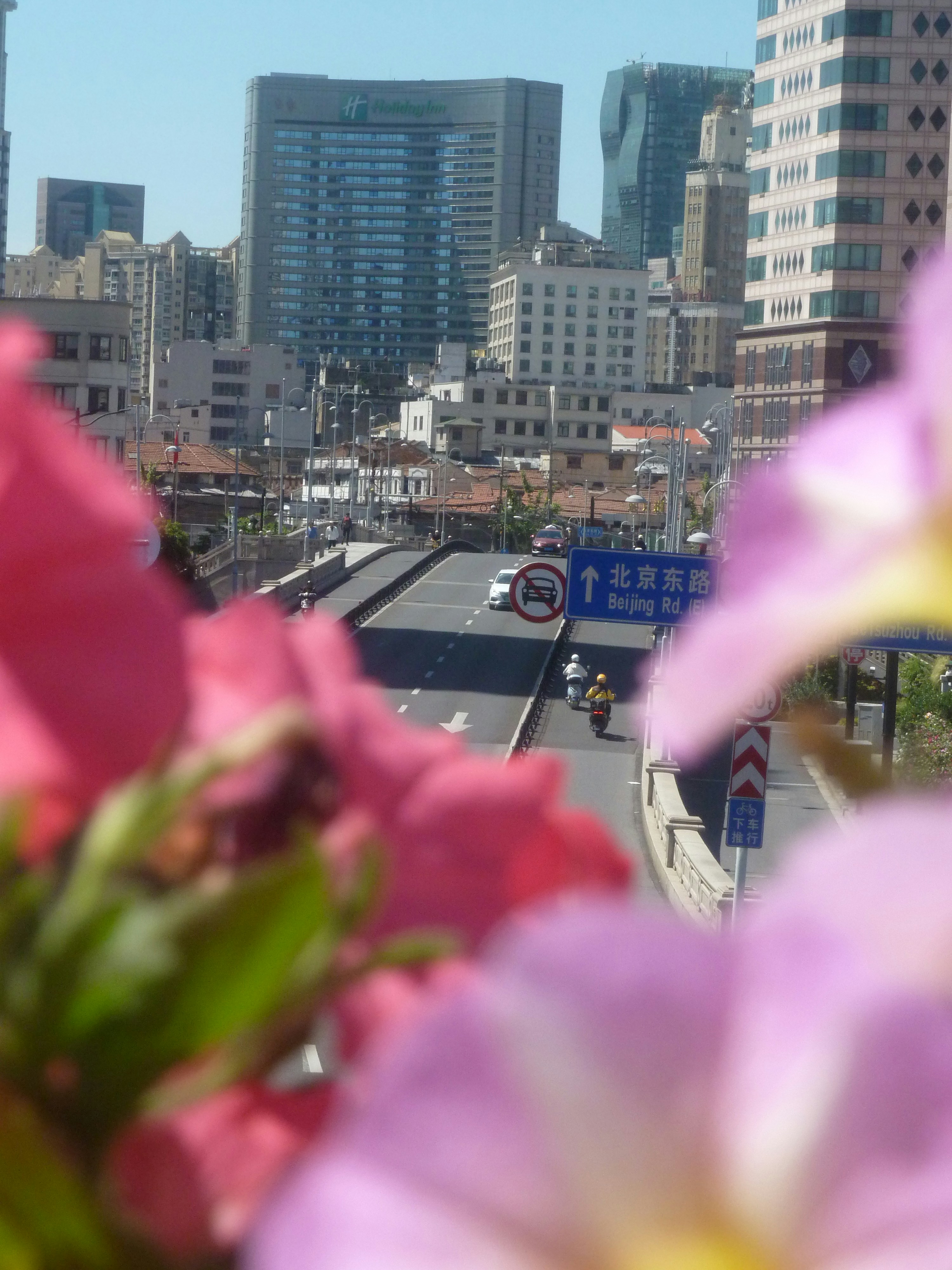 Motorcyclists on a bridge in Shanghai with pink flowers in the foreground