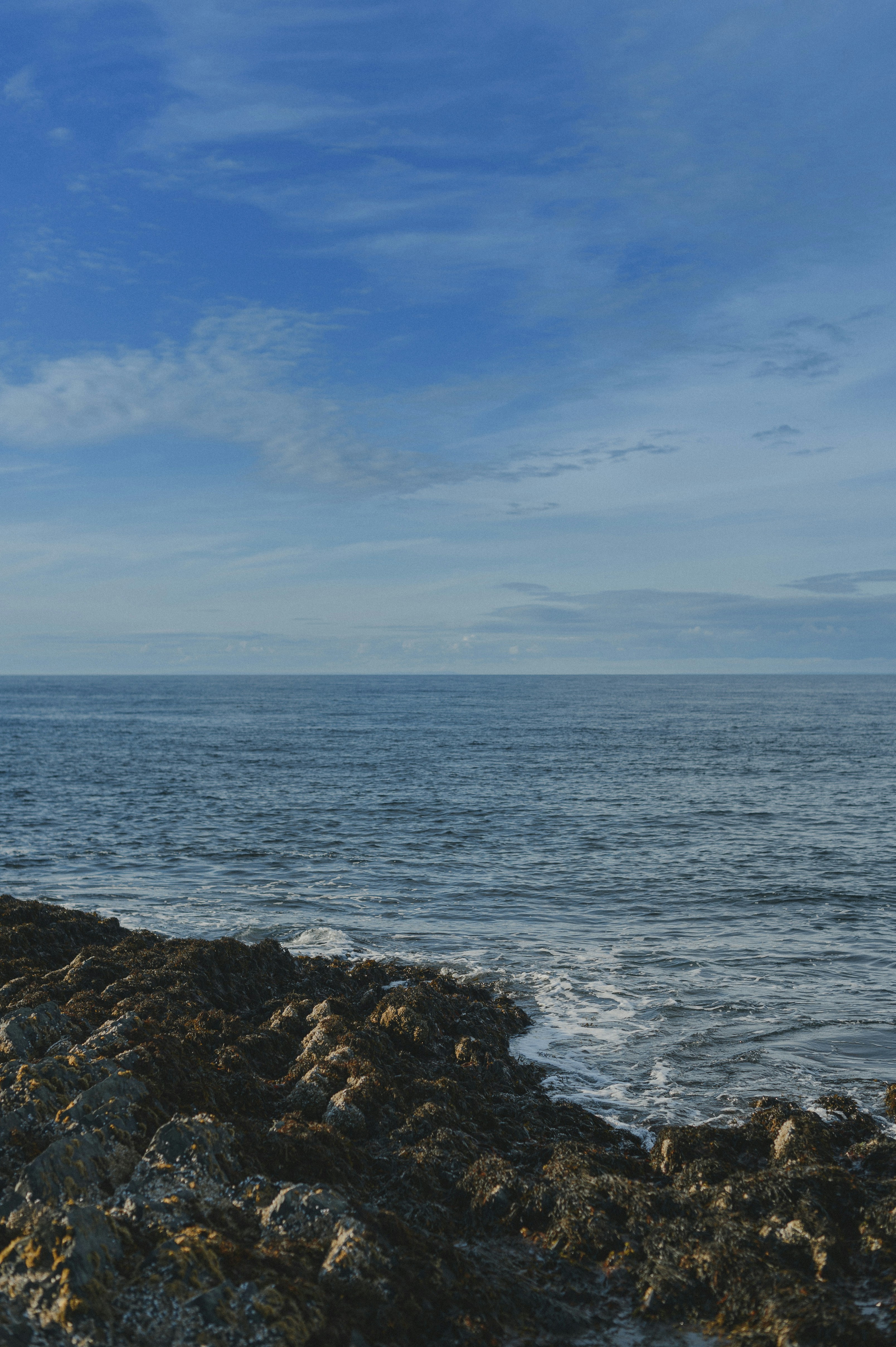Coastal Horizon: Quiet Sea Freshness Over Rugged Shoreline