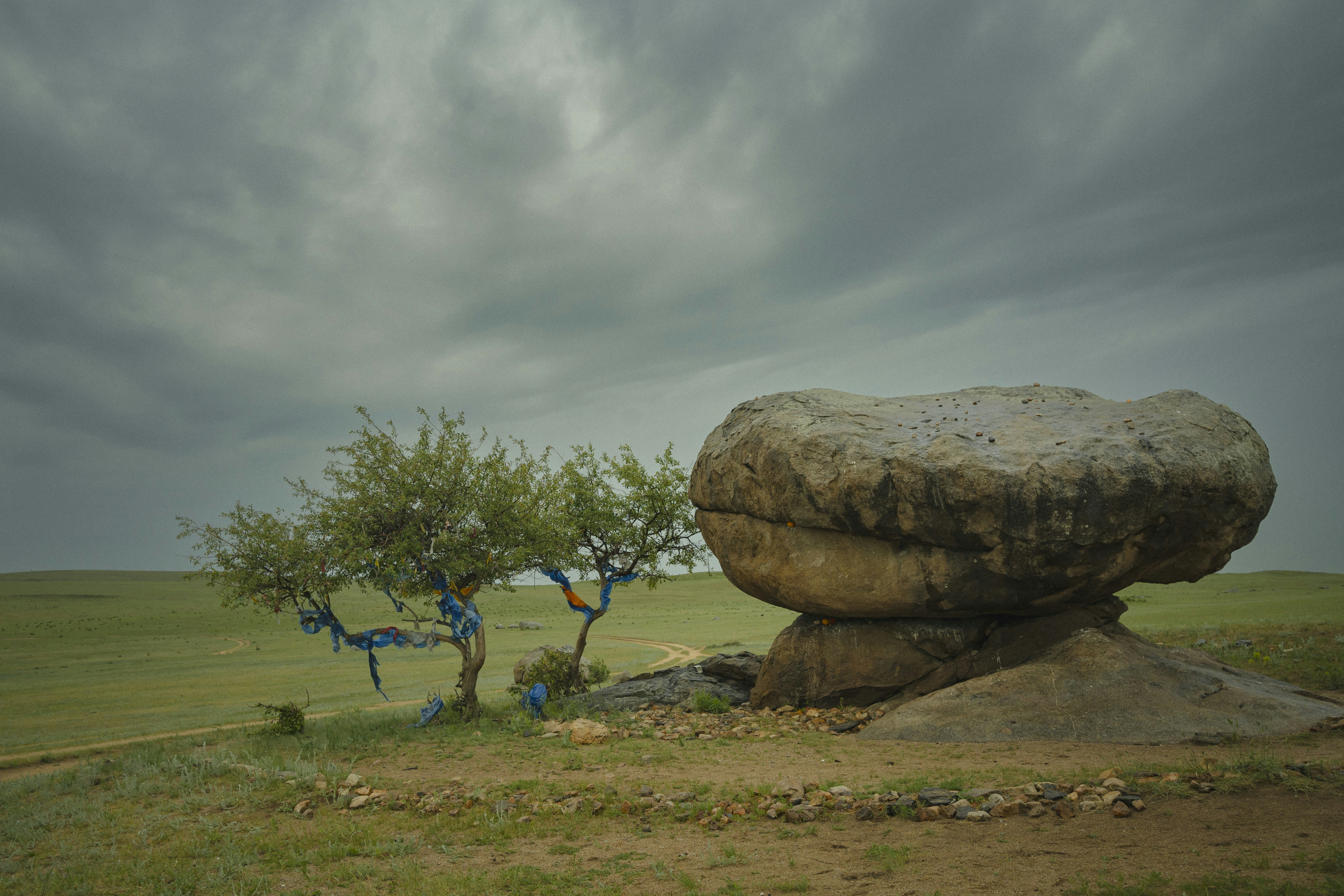 Balanced Stone: A Lone Rock and Wind-Worn Trees on the Flat Plain