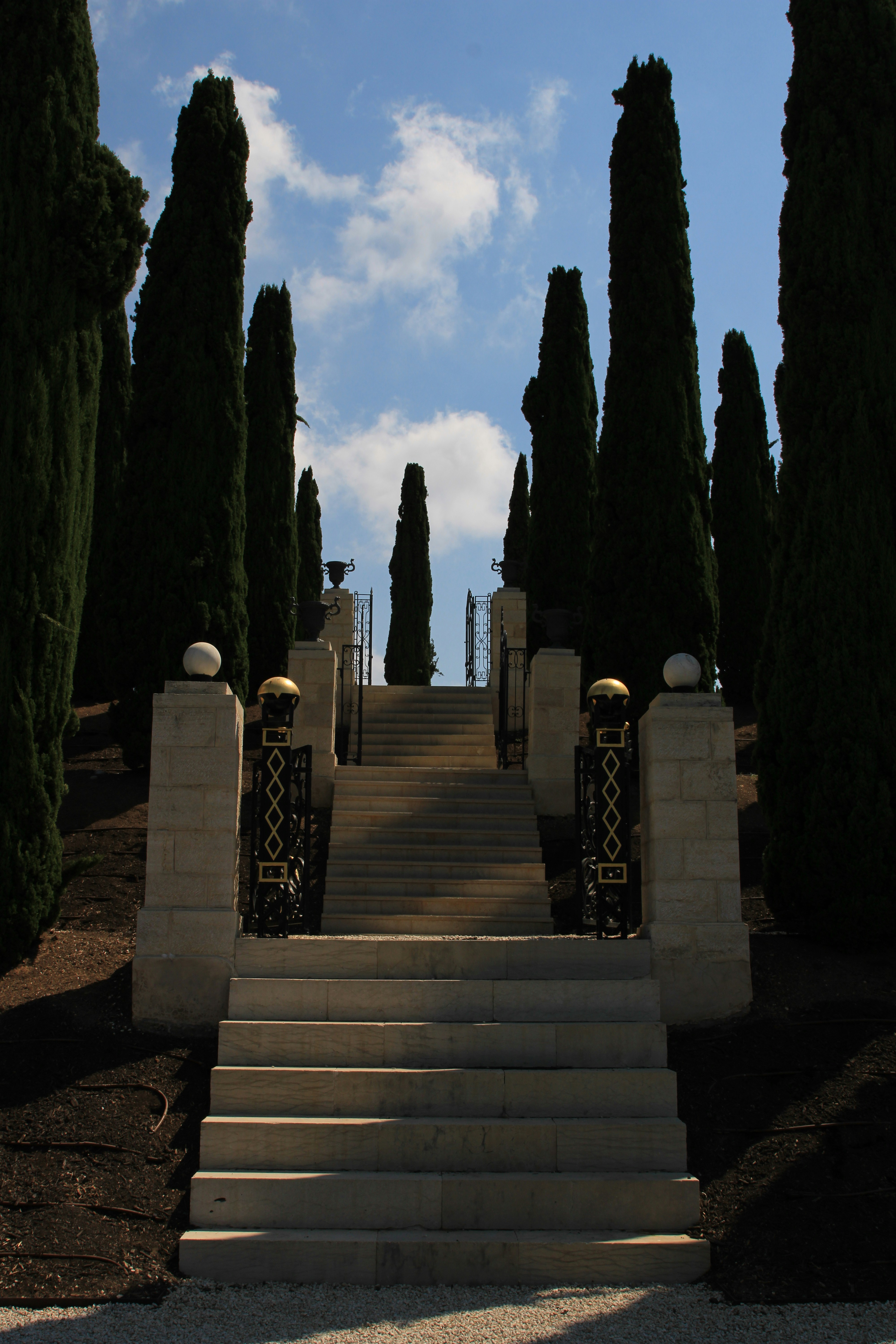 Ascending Stone Steps Framed by Tall Cypress Avenues