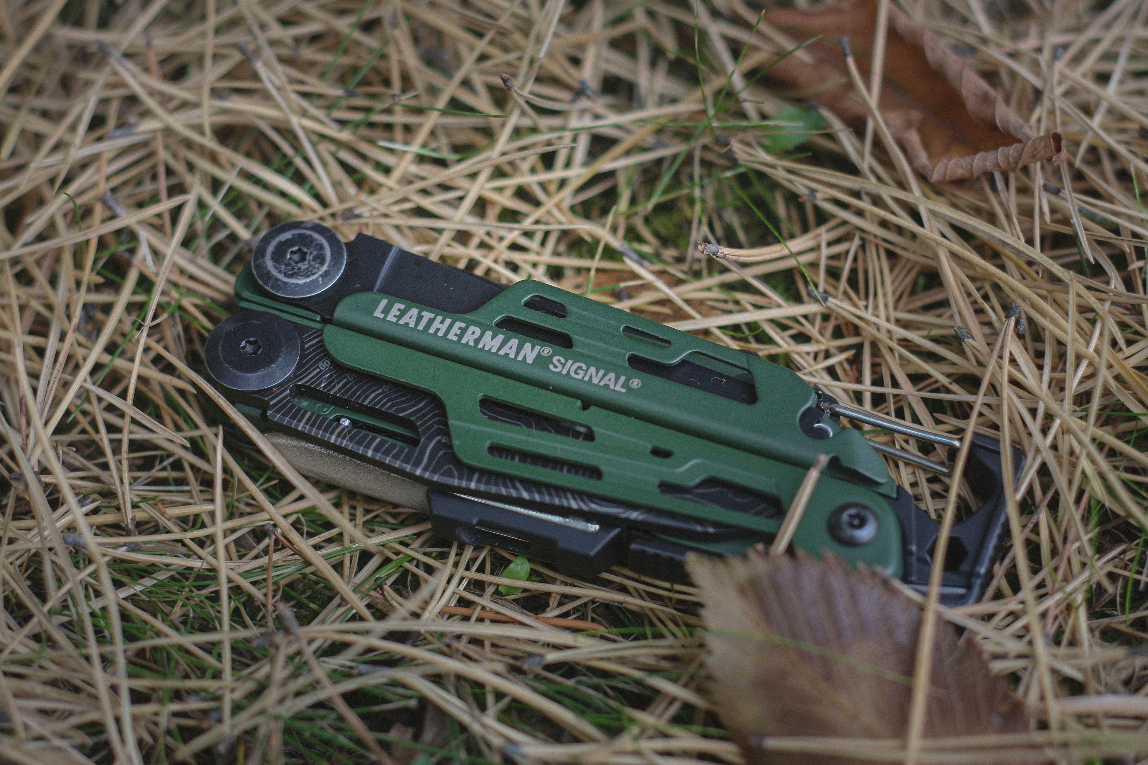Hidden Tools: A Green Multitool Resting Among Fall Forest Floor