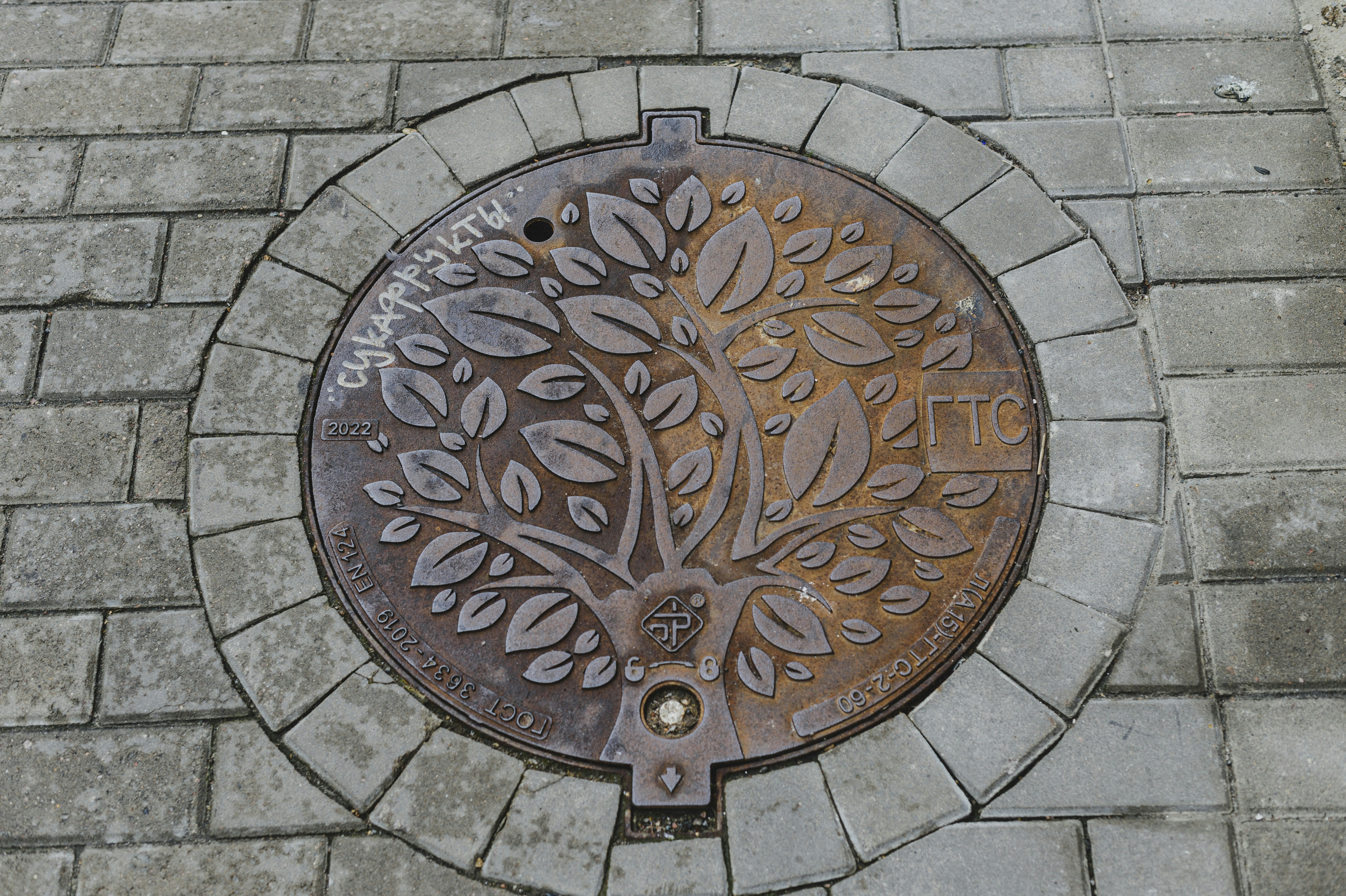 A close-up portrait of a decorative cast-iron manhole cover in Saint Petersburg. Embossed with an elegant tree motif and Cyrillic lettering, its warm rust patina and subtle graffiti contrast with the pale paving stones—an intimate study of urban texture, design, and everyday history.