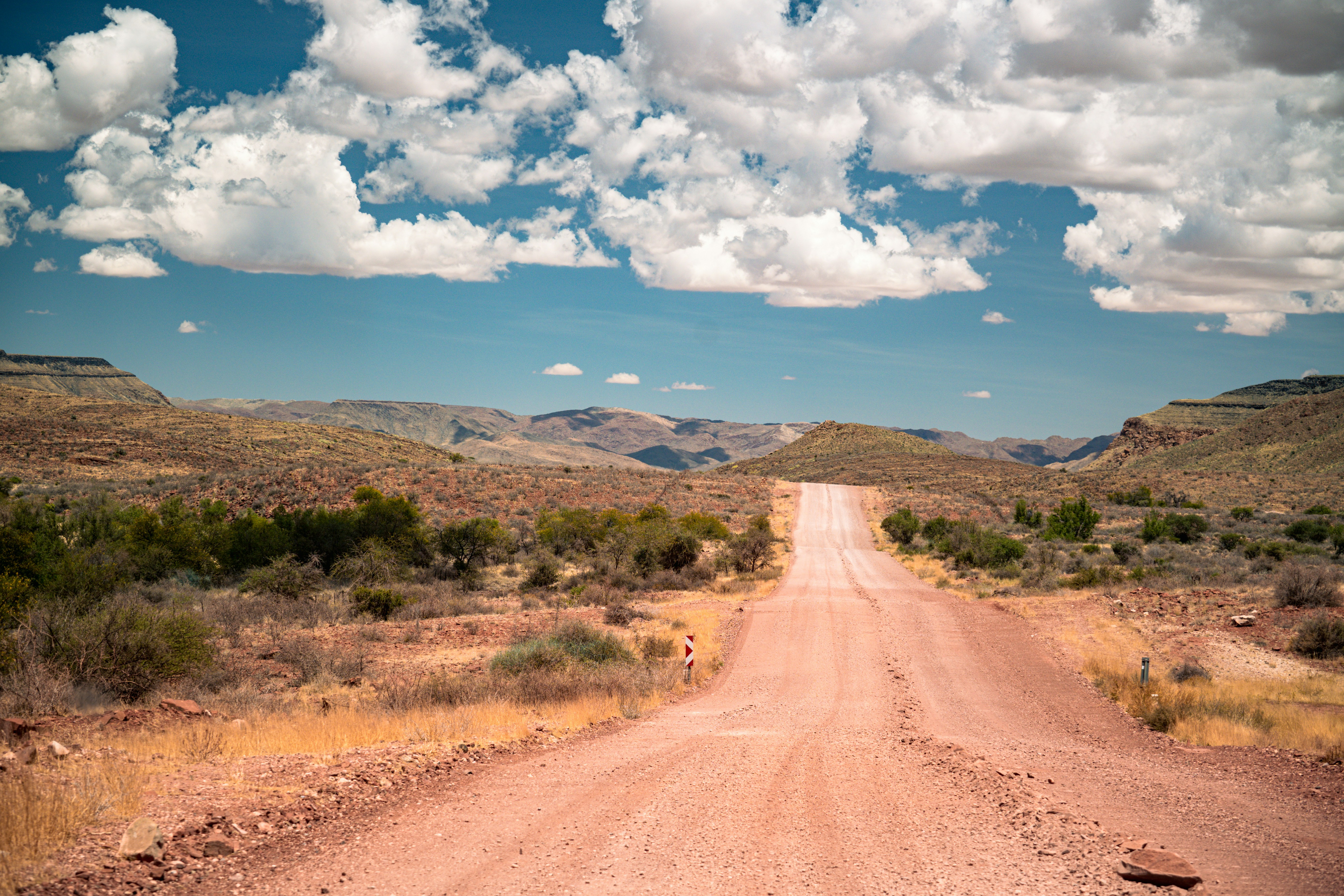 Dusty dirt road winds toward distant mesas under a bright sky, highlighting arid brush and open landscape. This is a wide, outdoor desert scene.