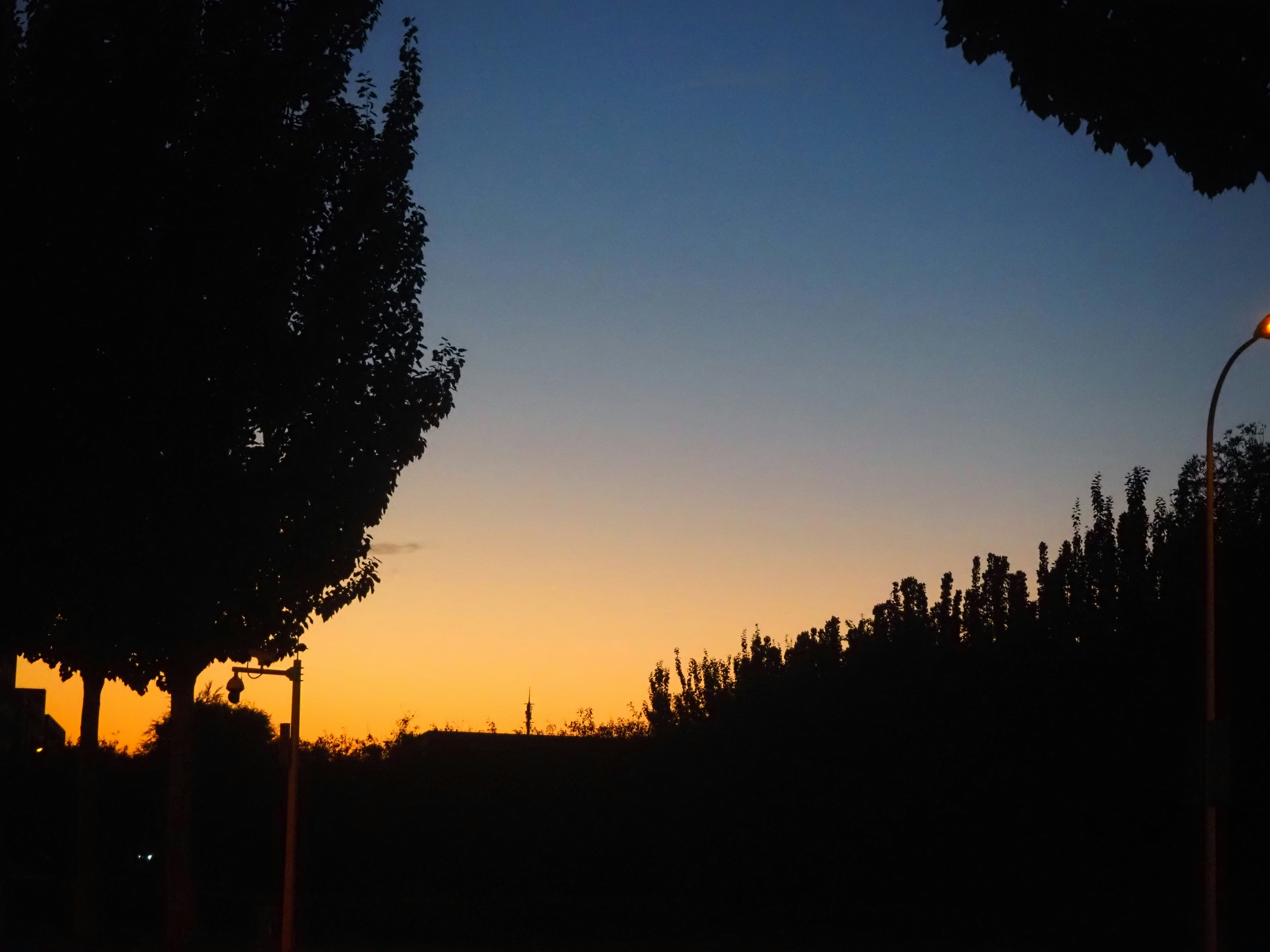 Orange-to-navy sunset over a darkened tree-lined horizon with lamp posts; silhouettes frame the glowing sky.