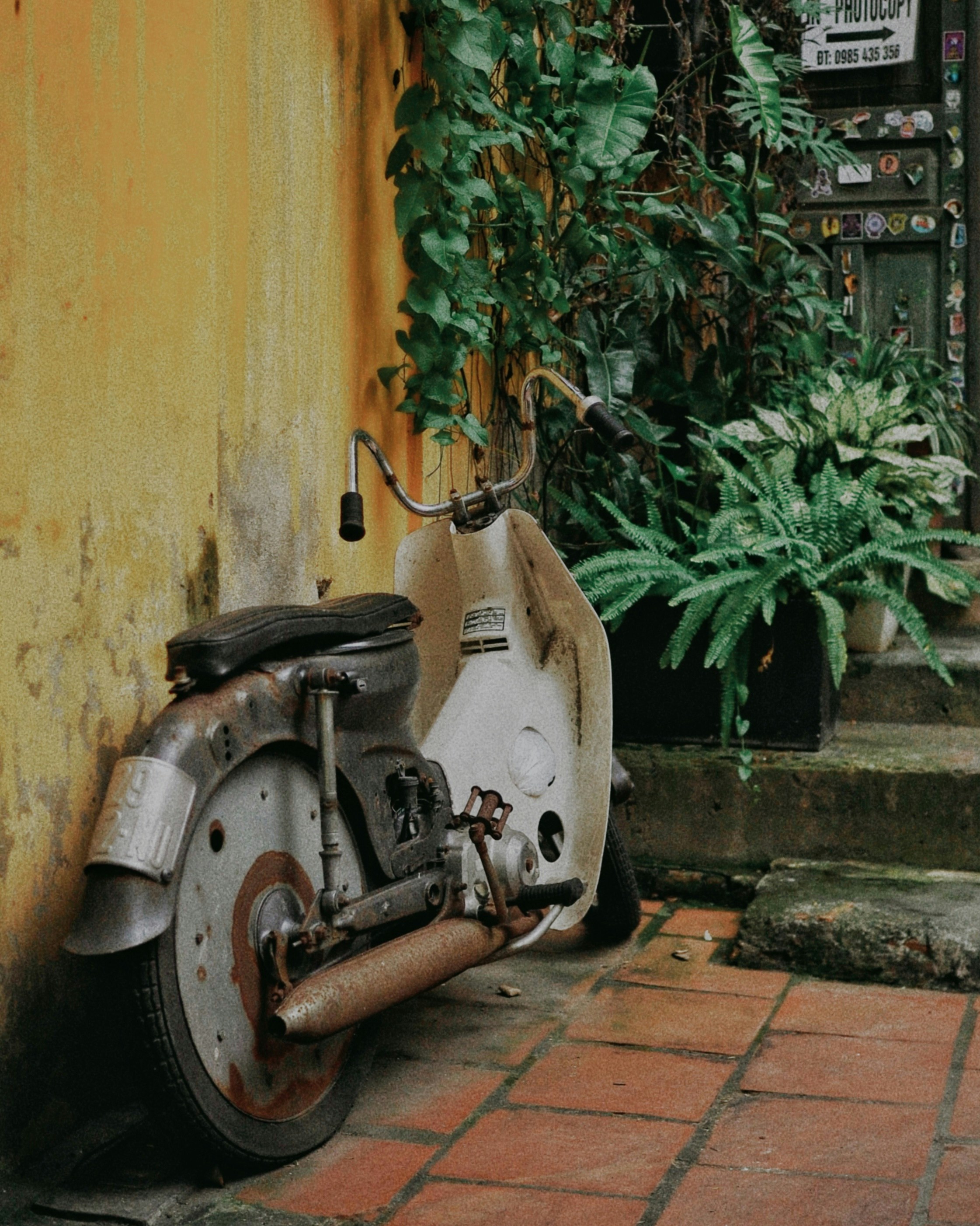 Rust and Green: An Idle Scooter Nestled Against a Mossy Wall