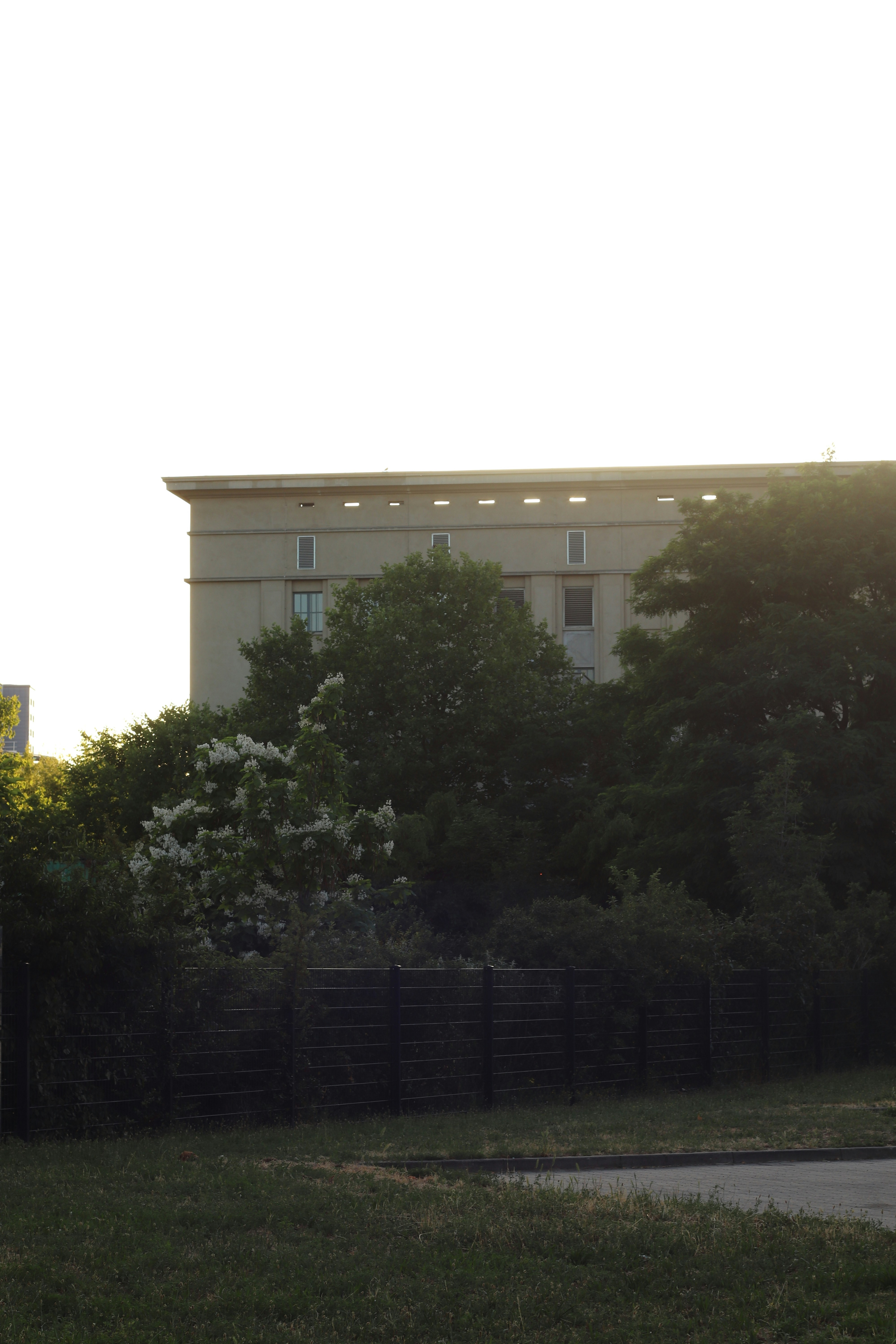 Sunlit Campus Gatekeeper Amid Quiet Greenery