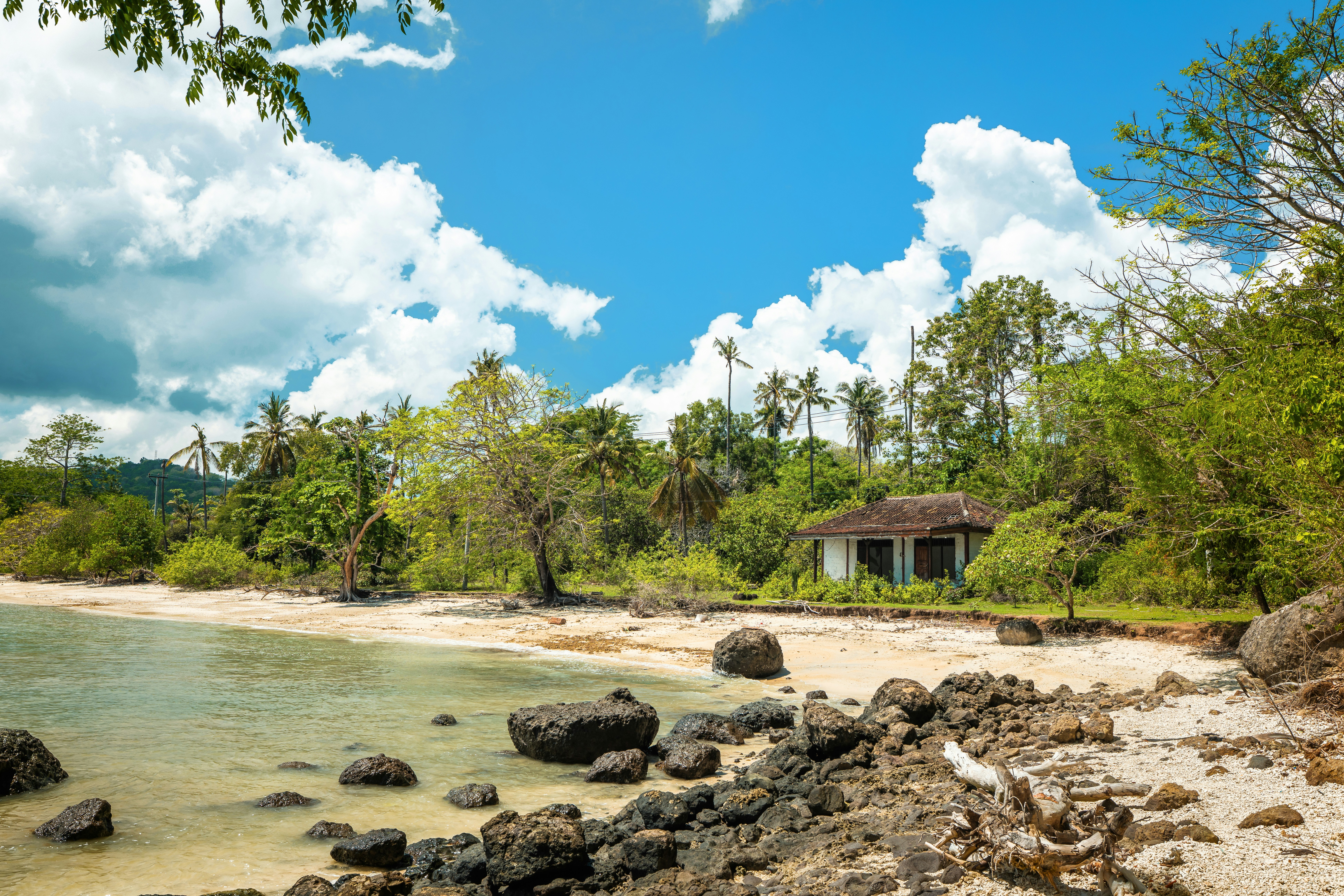 Rustic Shoreside Hut Under a Clear Caribbean Sky