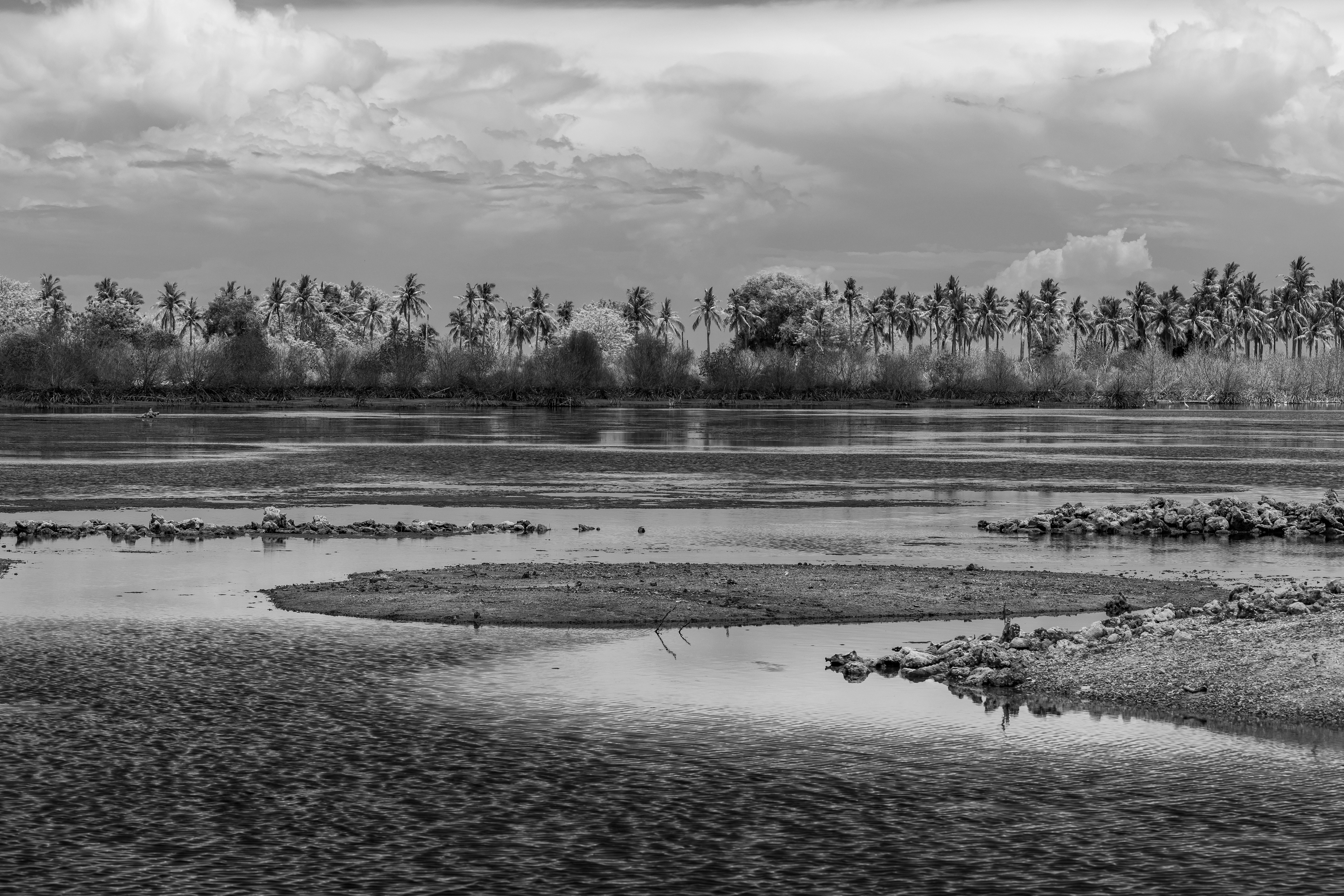 Mudflats at Dusk: A Quiet Horizon Across Taintless Water