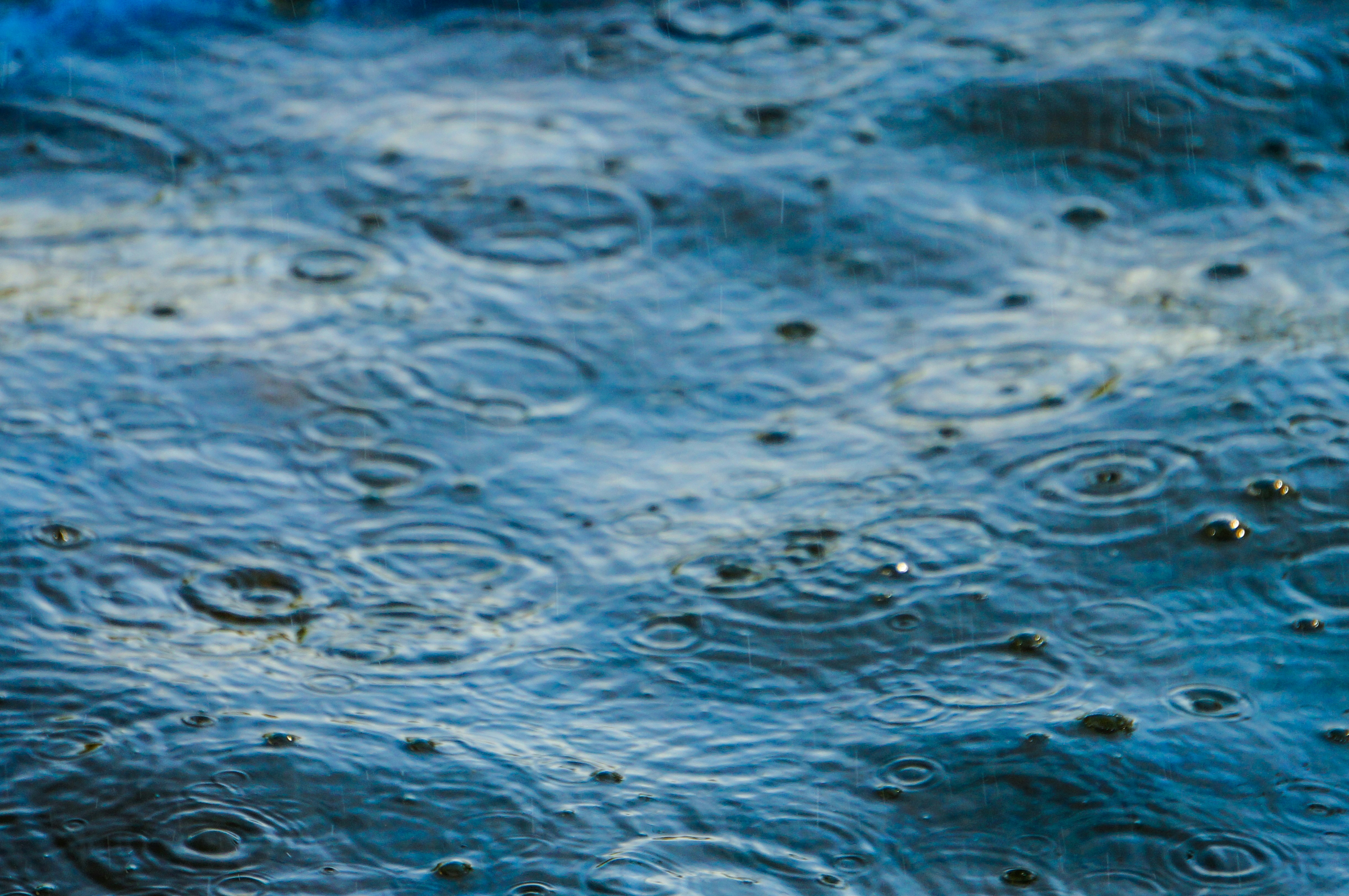Raindrop Ripples over a Blue Surface