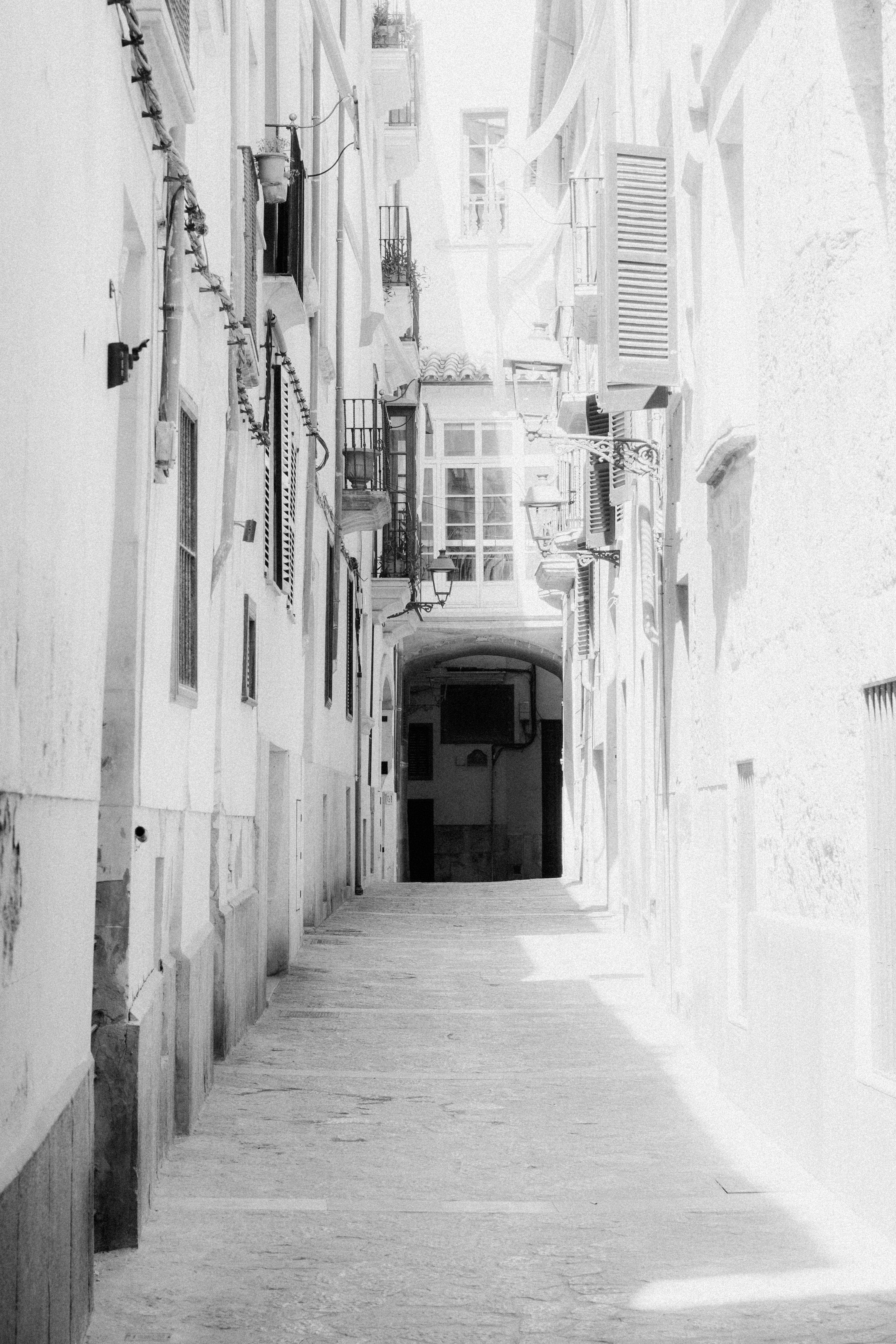 Shadowed Alley into Light: A Nordic-White Passage