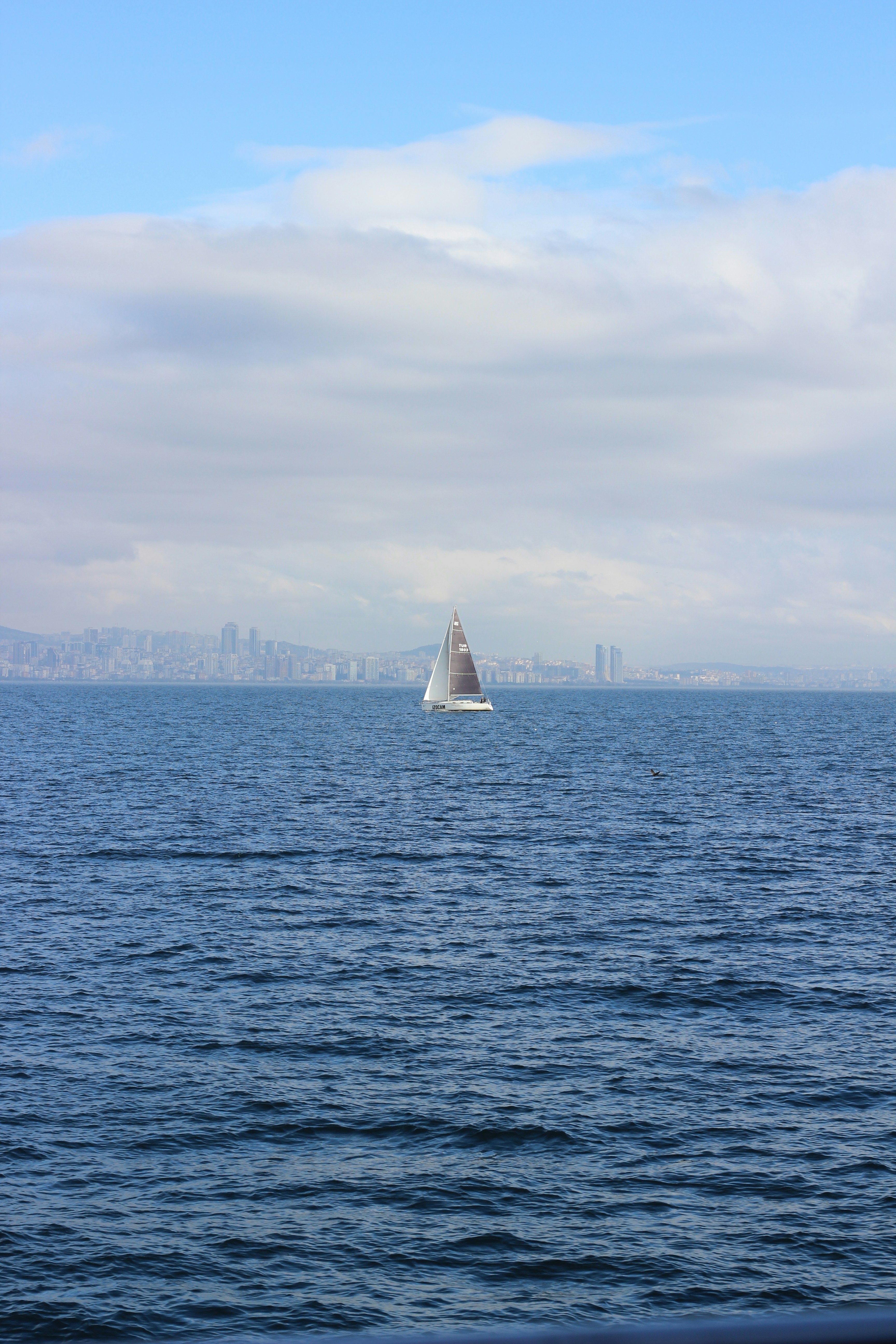 Sailboat Crossing the Blue Expanse