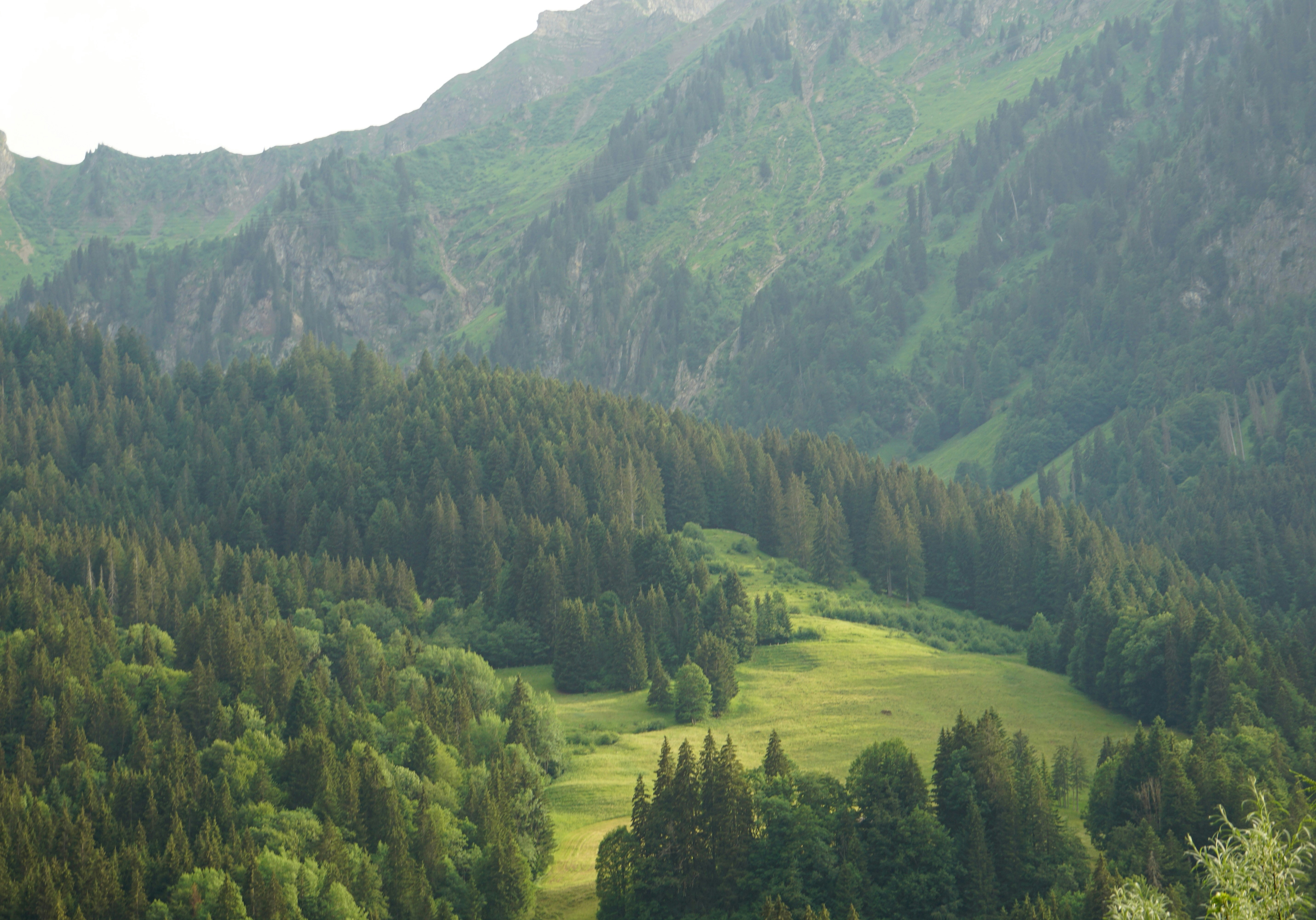 Emerald Valleys under a Quiet Ridge