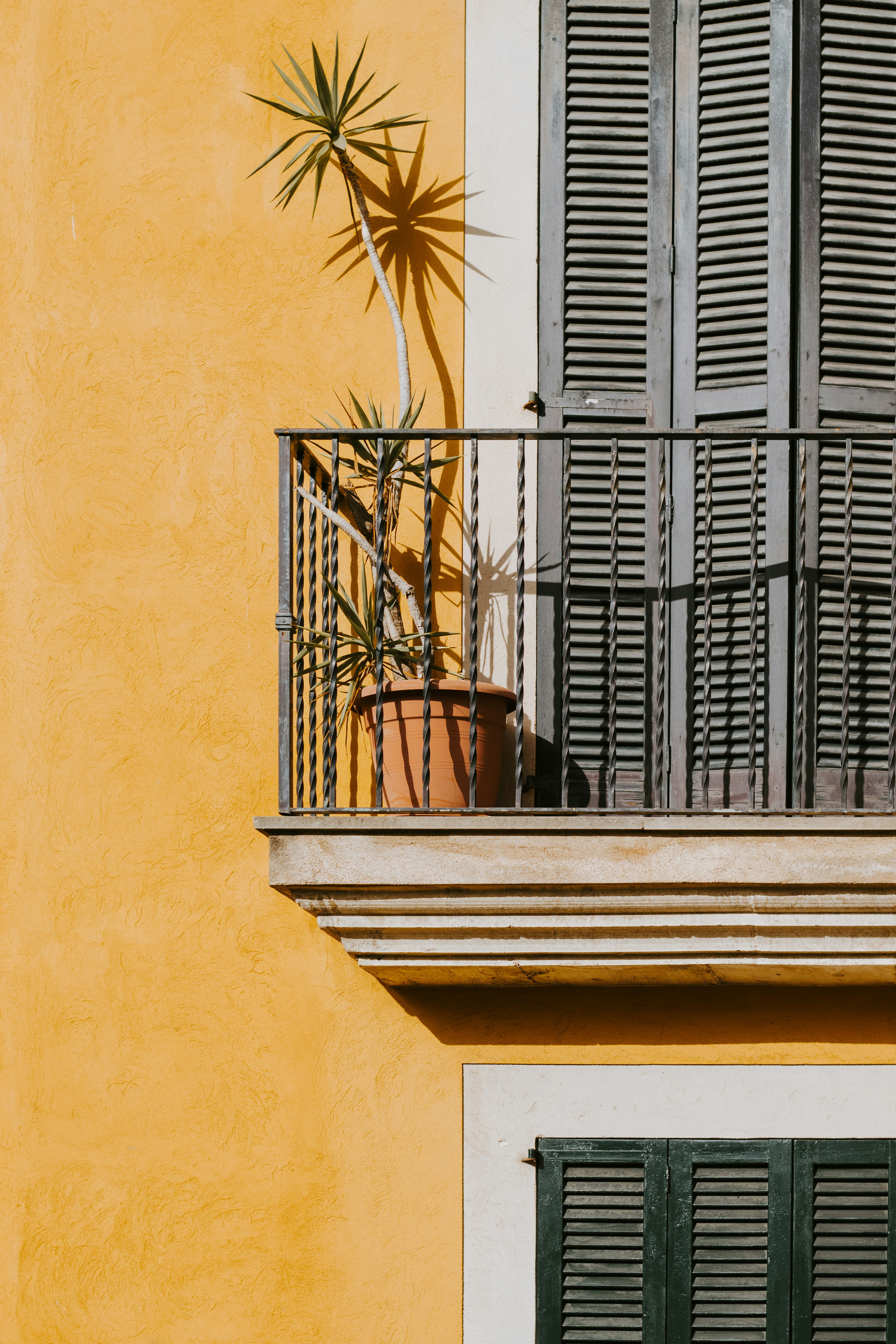 Sunlit Balcony with a Potted Palm Casting Long Shadows on a Yellow Façade