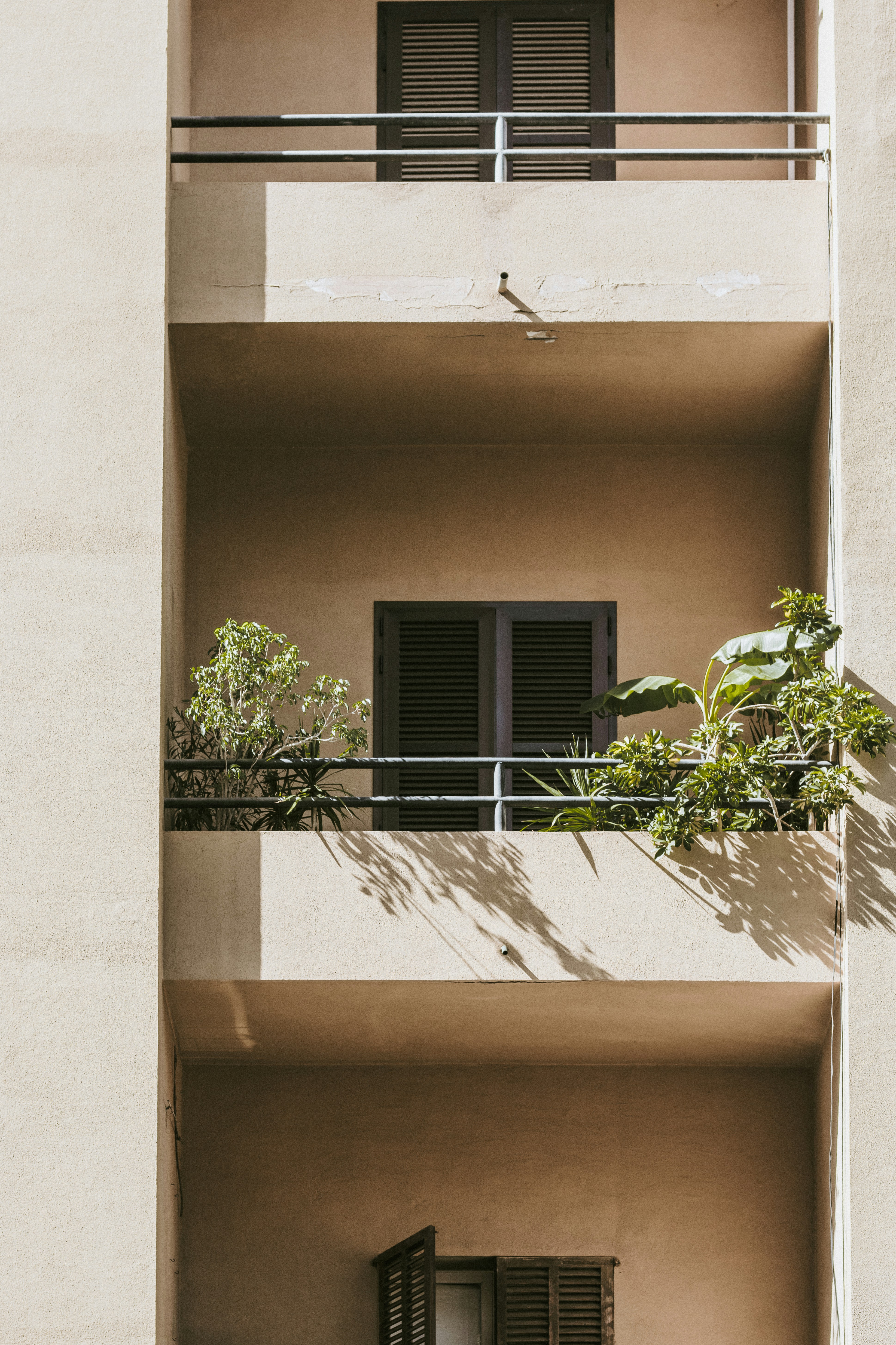 Sunlit Balcony Architecture: Minimal Greenery Overhangs