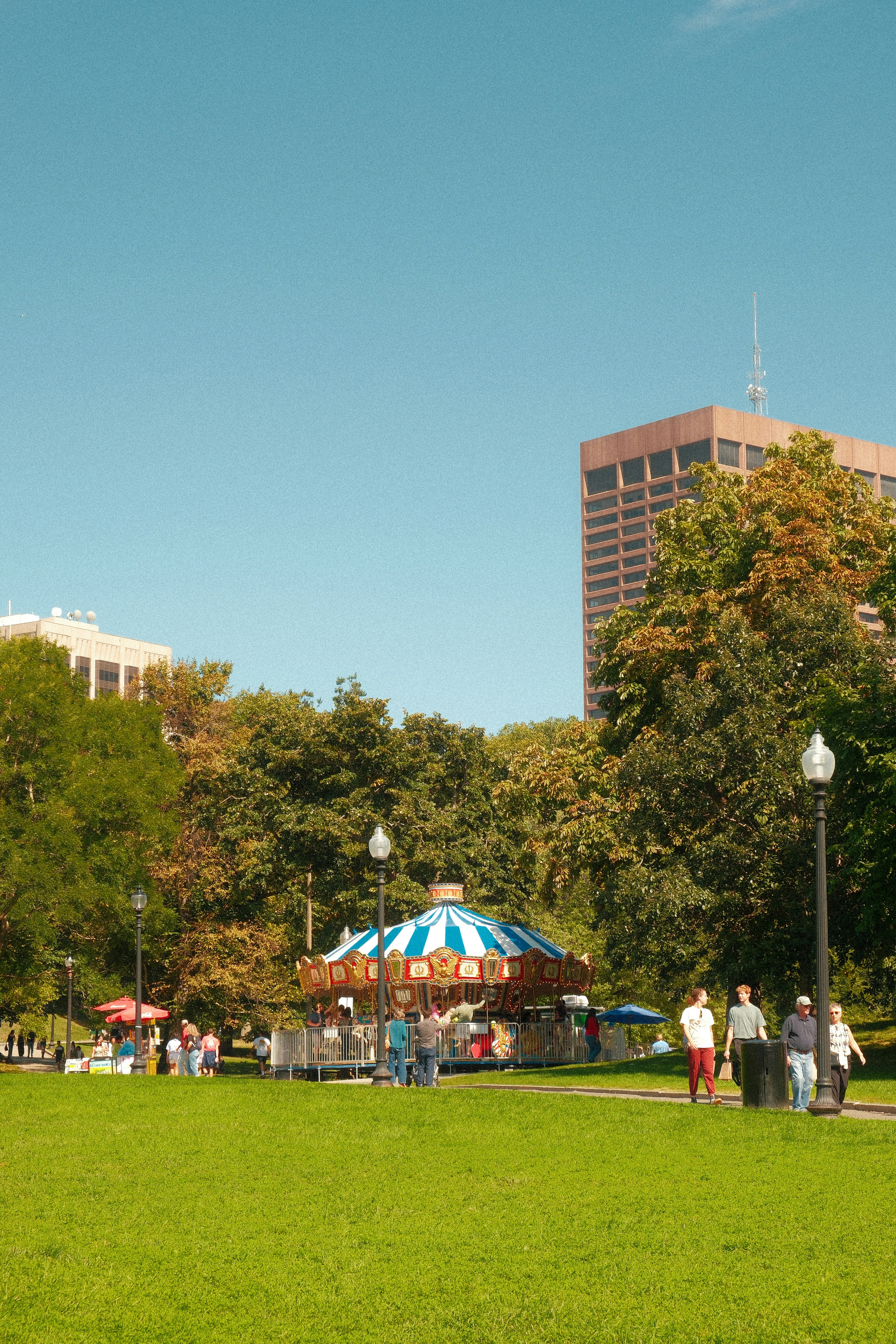Carousel Under a Clear Sky: Parkside Portrait in Afternoon Light