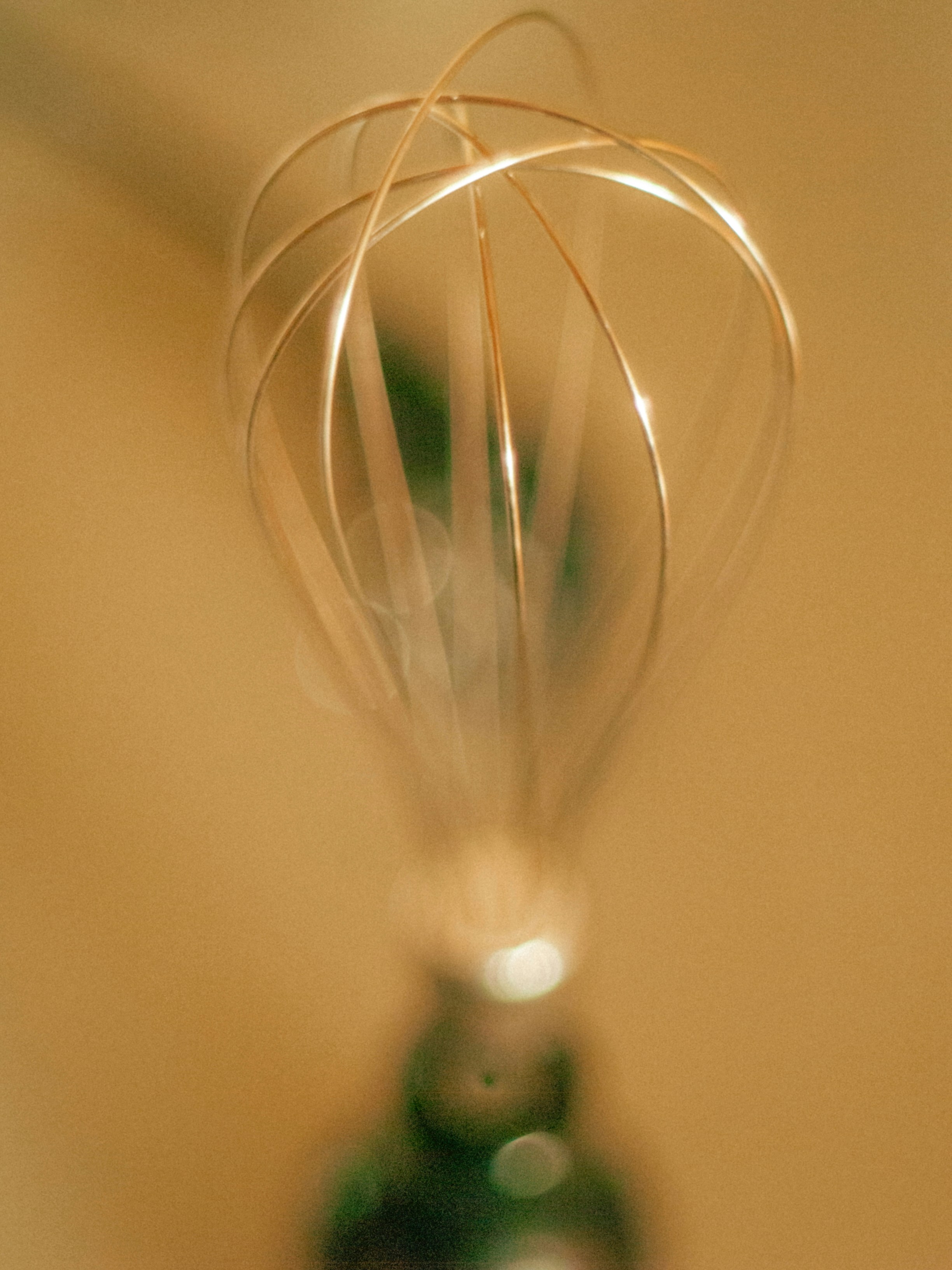 Macro close-up of a tangled whisk-like structure with soft bokeh; abstract metallic strands looping upward from a blurred base, creating warm tones and a shallow depth of field.