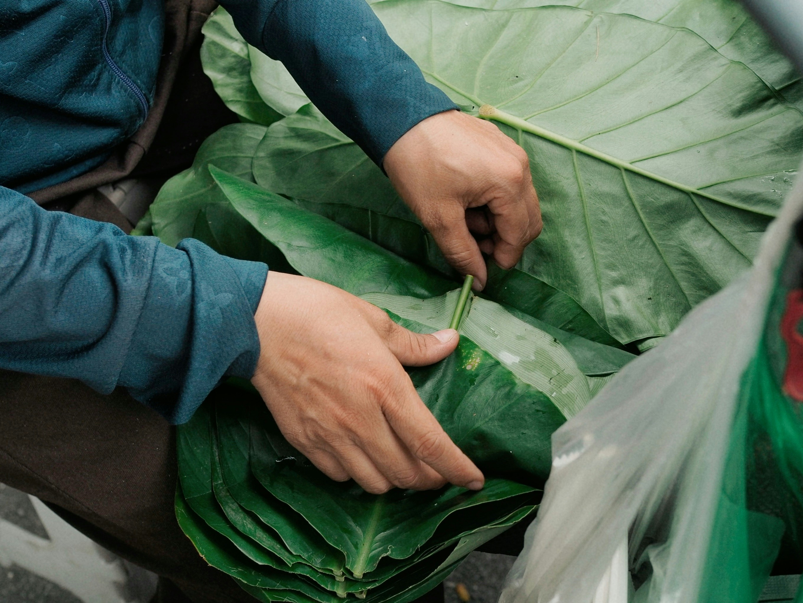 Hands Weaving Leaf Ties: Crafting with Green Texture