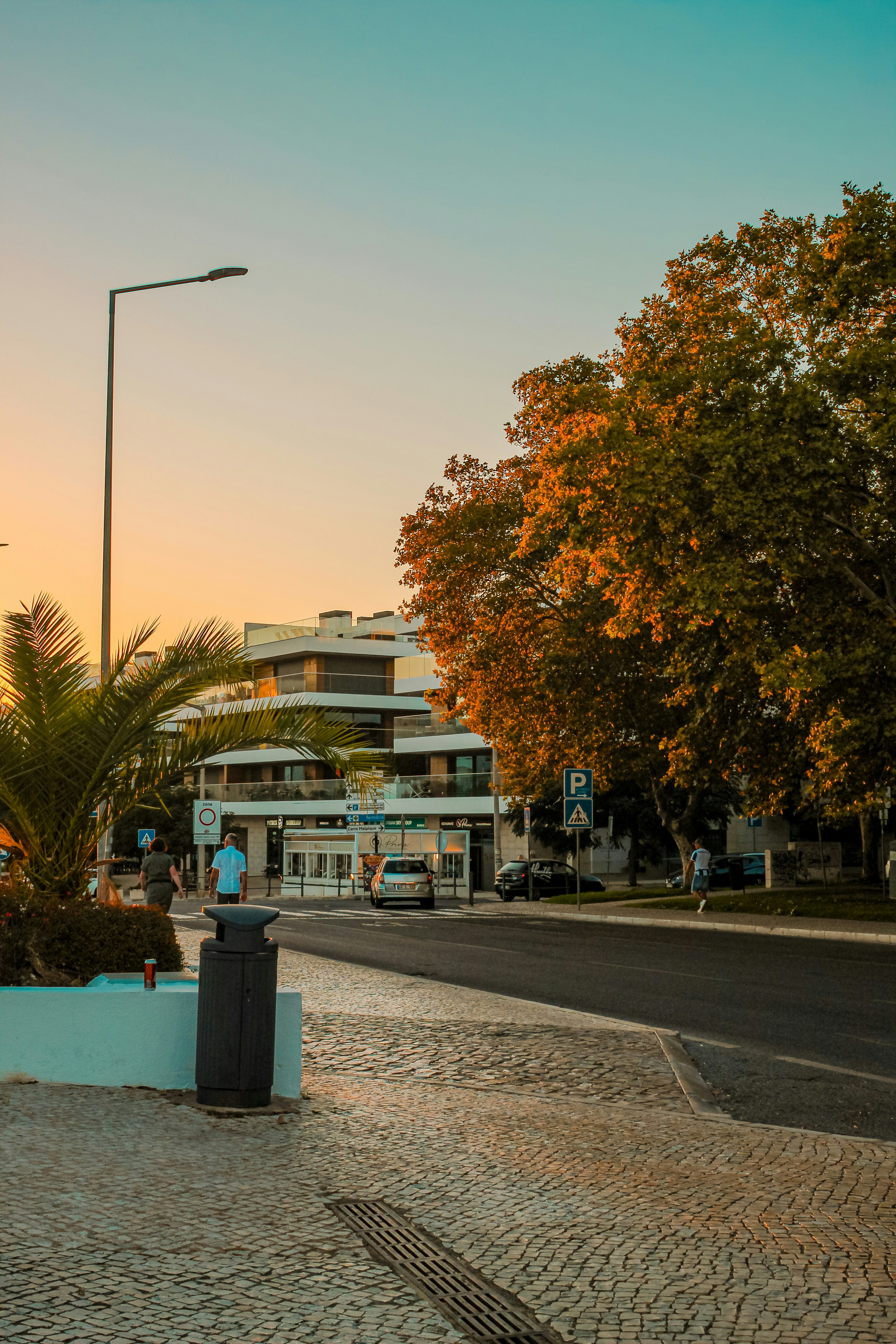 Sunlit Avenue: Evening Glow Over a Quiet Coastal Town
