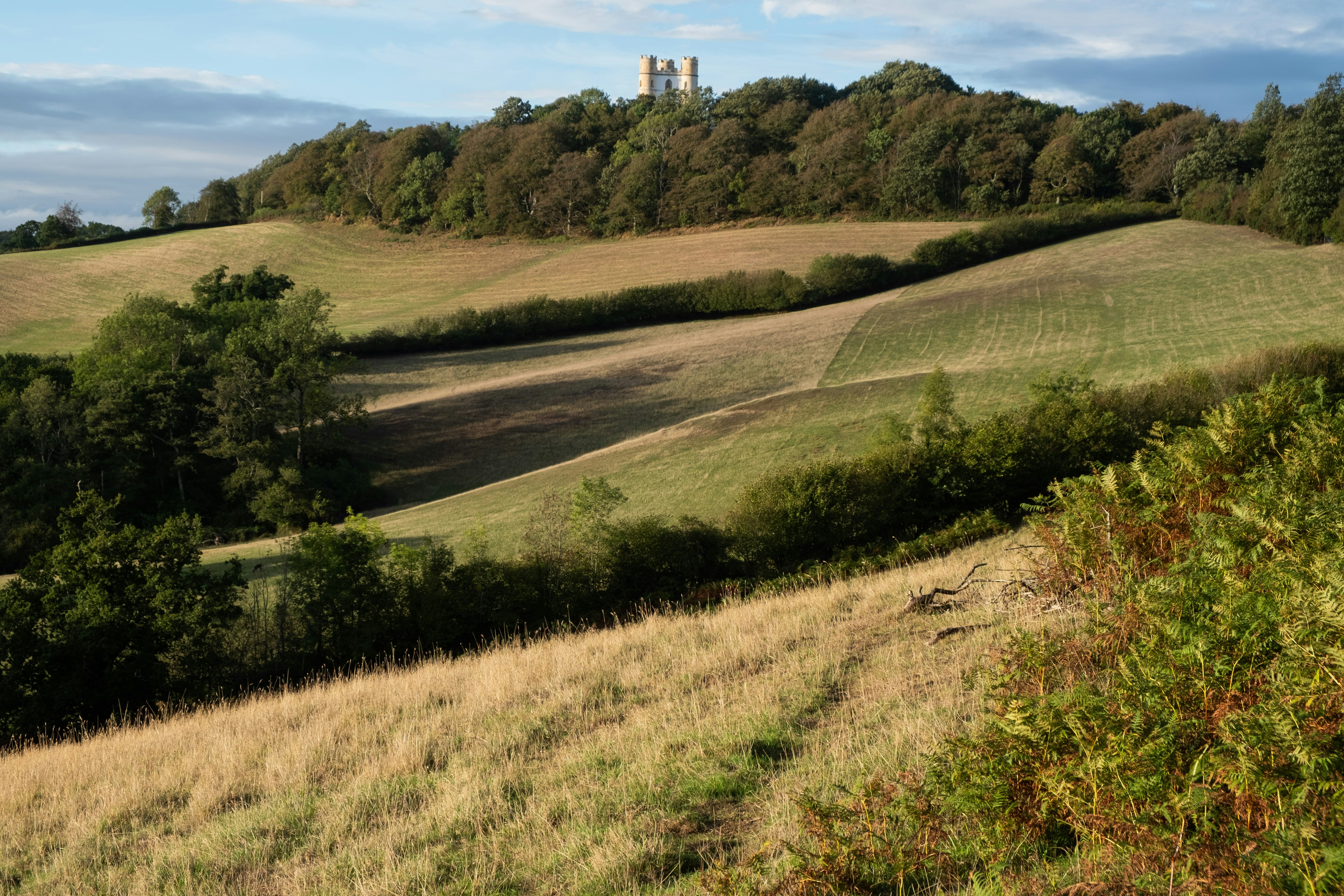 Hilltop Ruin: A Quiet Crest Over Rolling Fields