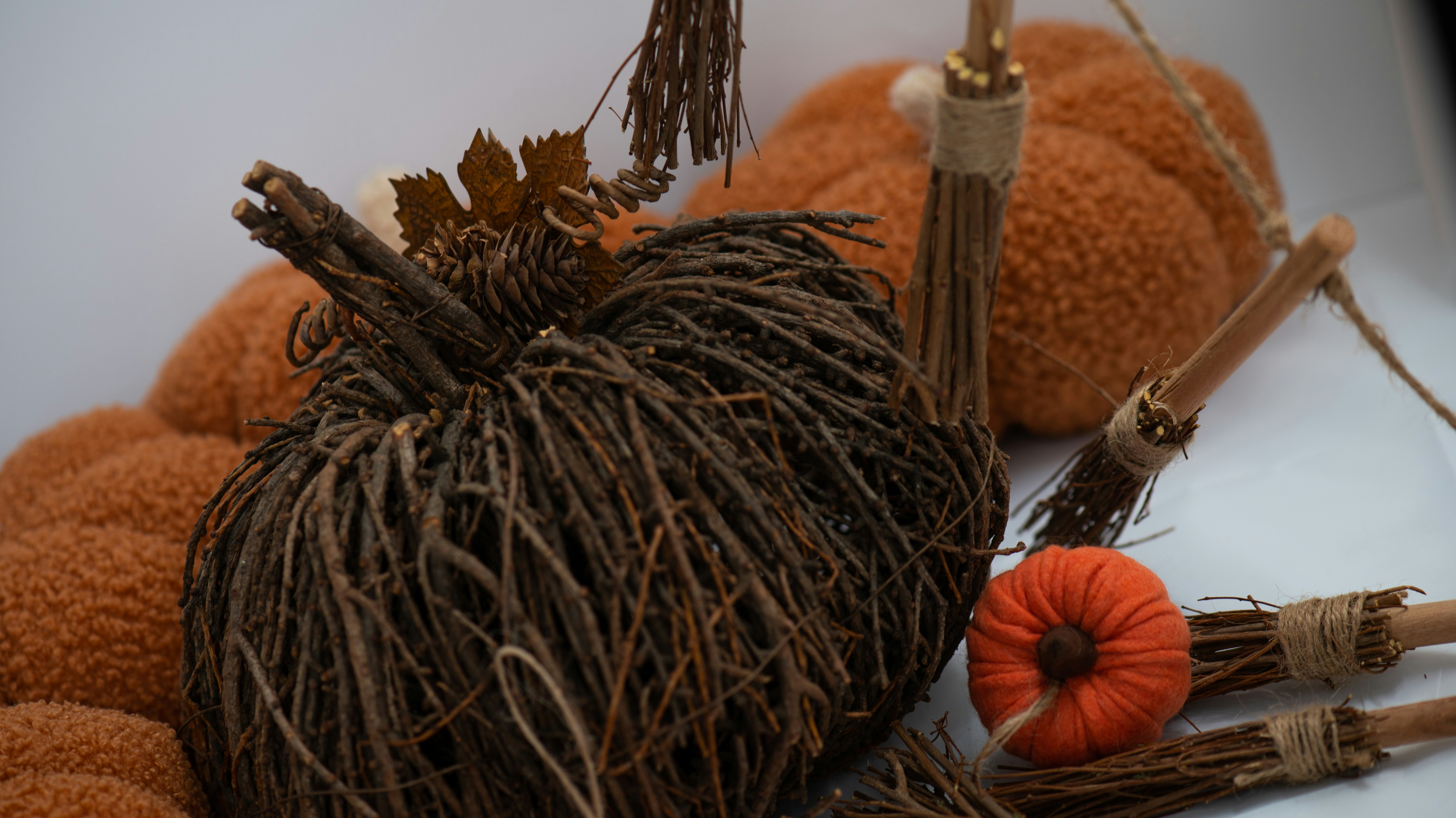 Autumn Textures: A Still Life of Pumpkins and Vines