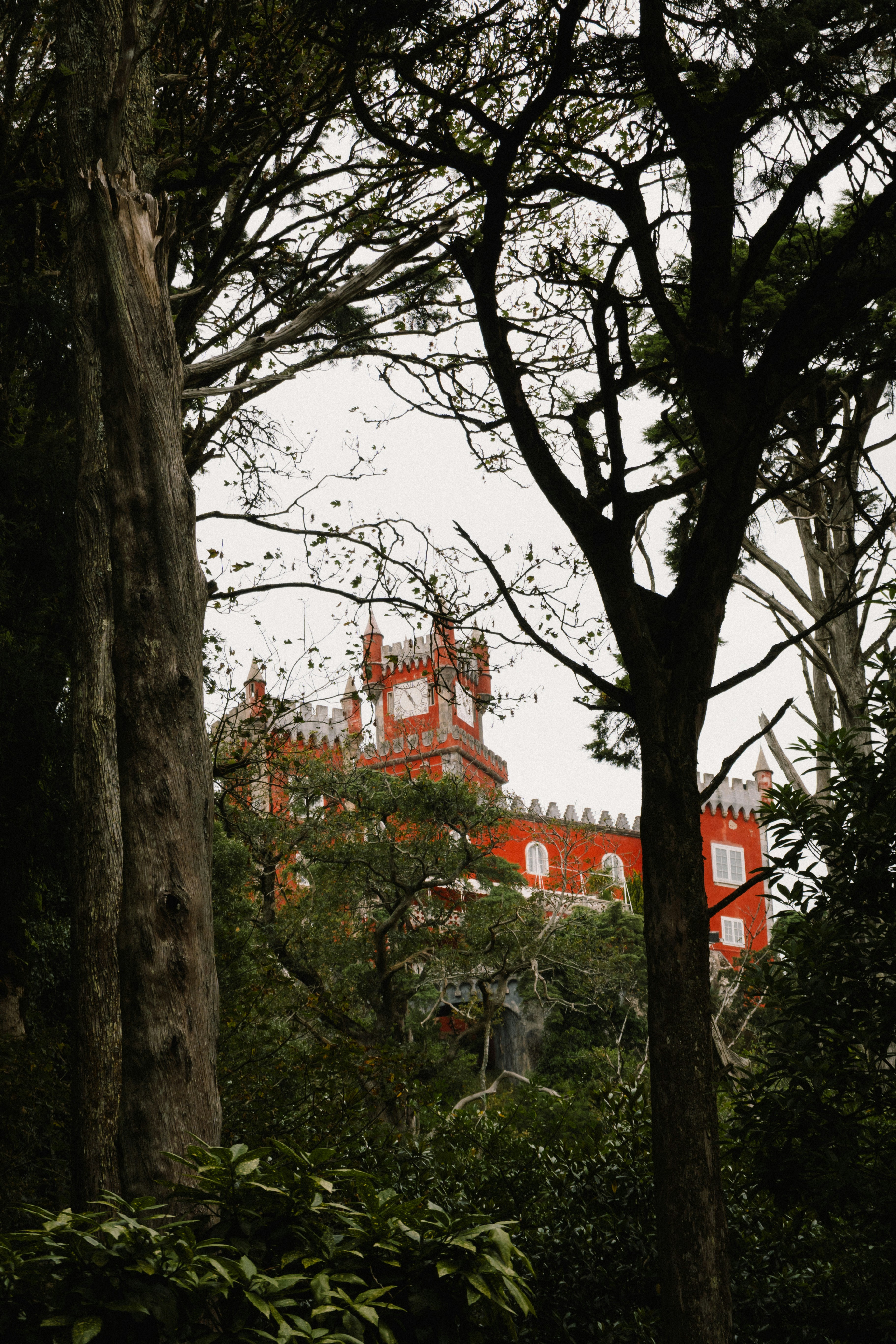 Red Castle Veiled by Forest: A Hint of Architecture Through the Trees