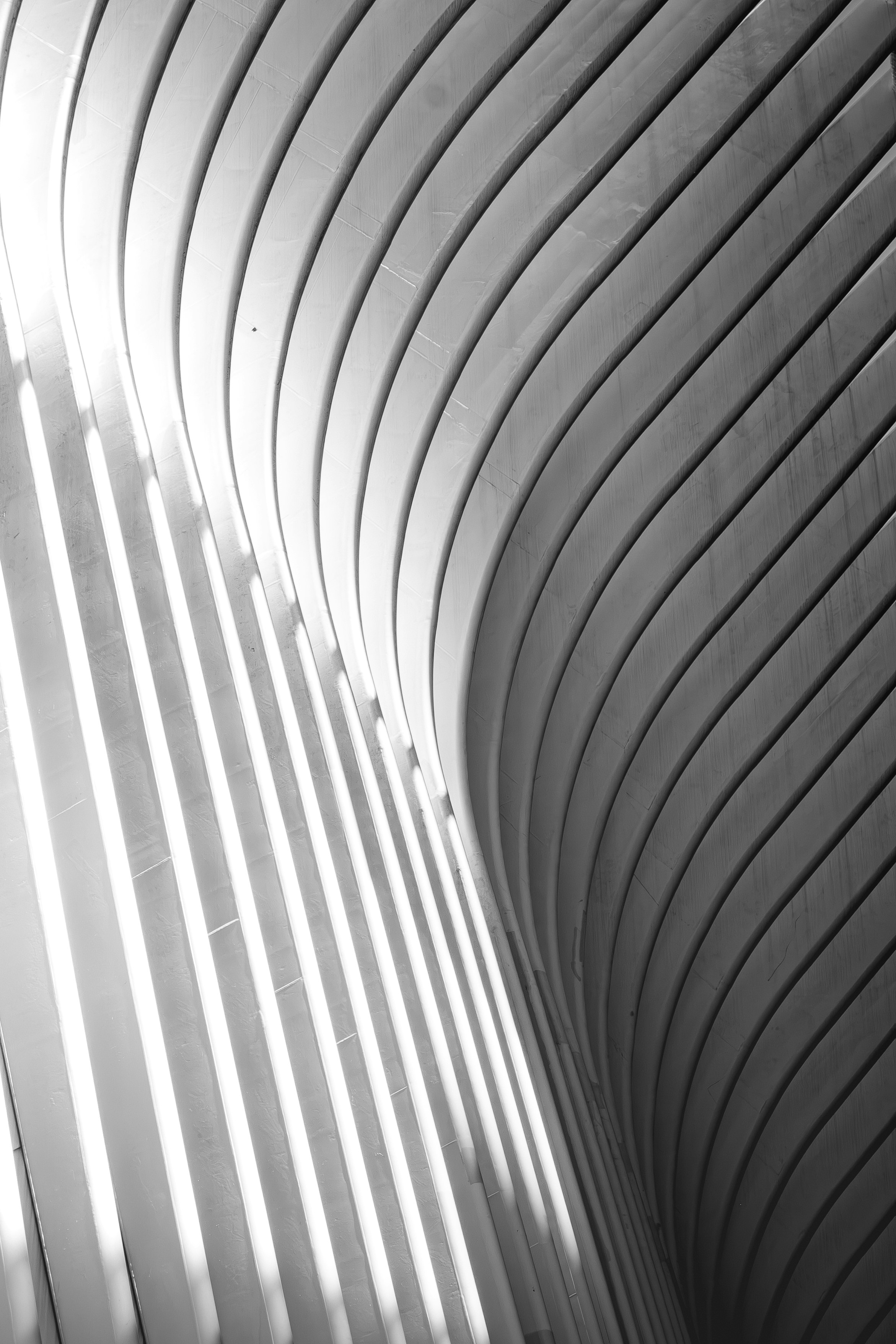Curved Chrome Waves: A Monochrome Study of Repeating Ribs