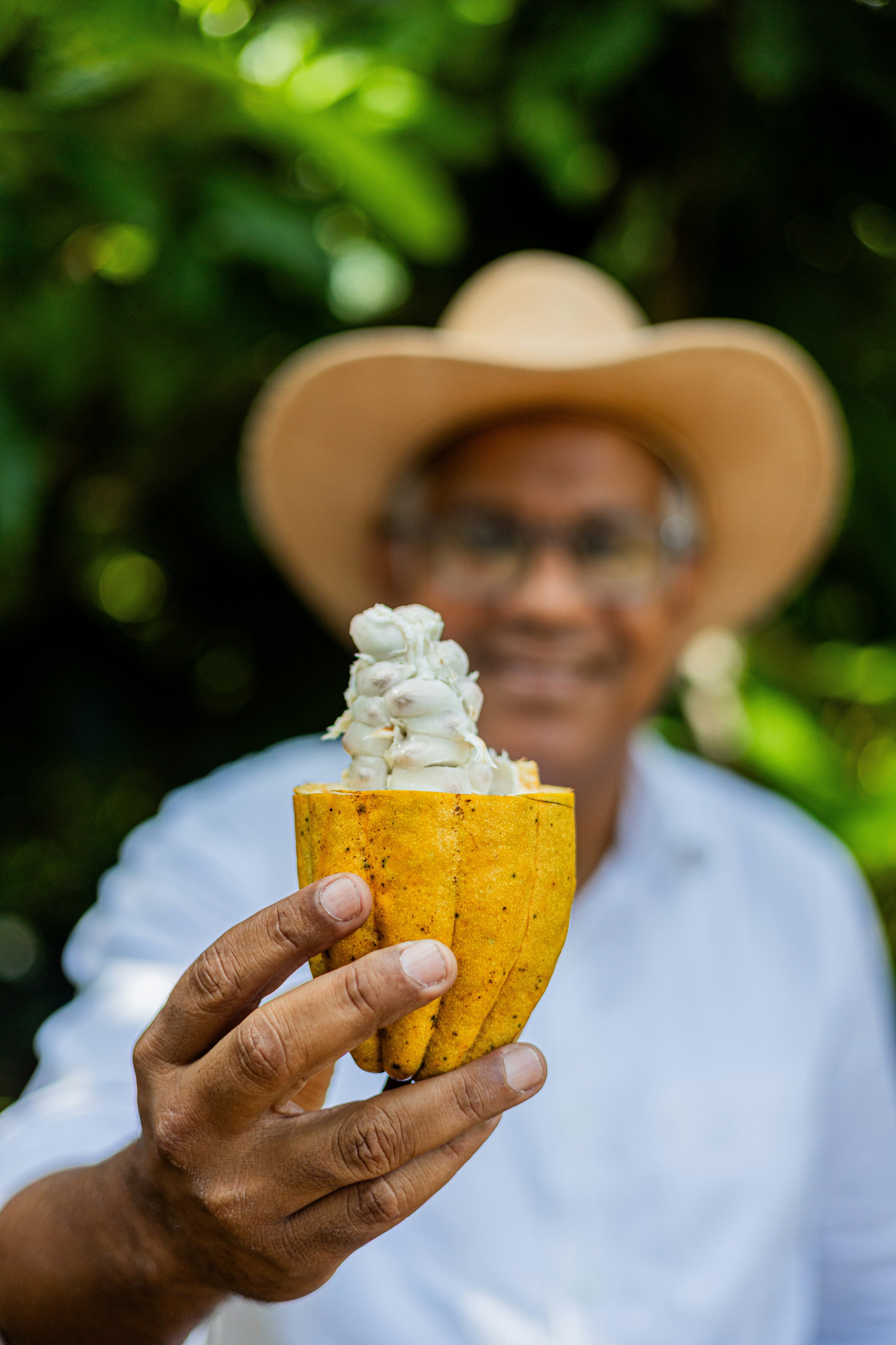 Citrus Treat in Focus: A Handful of Creamy Delight