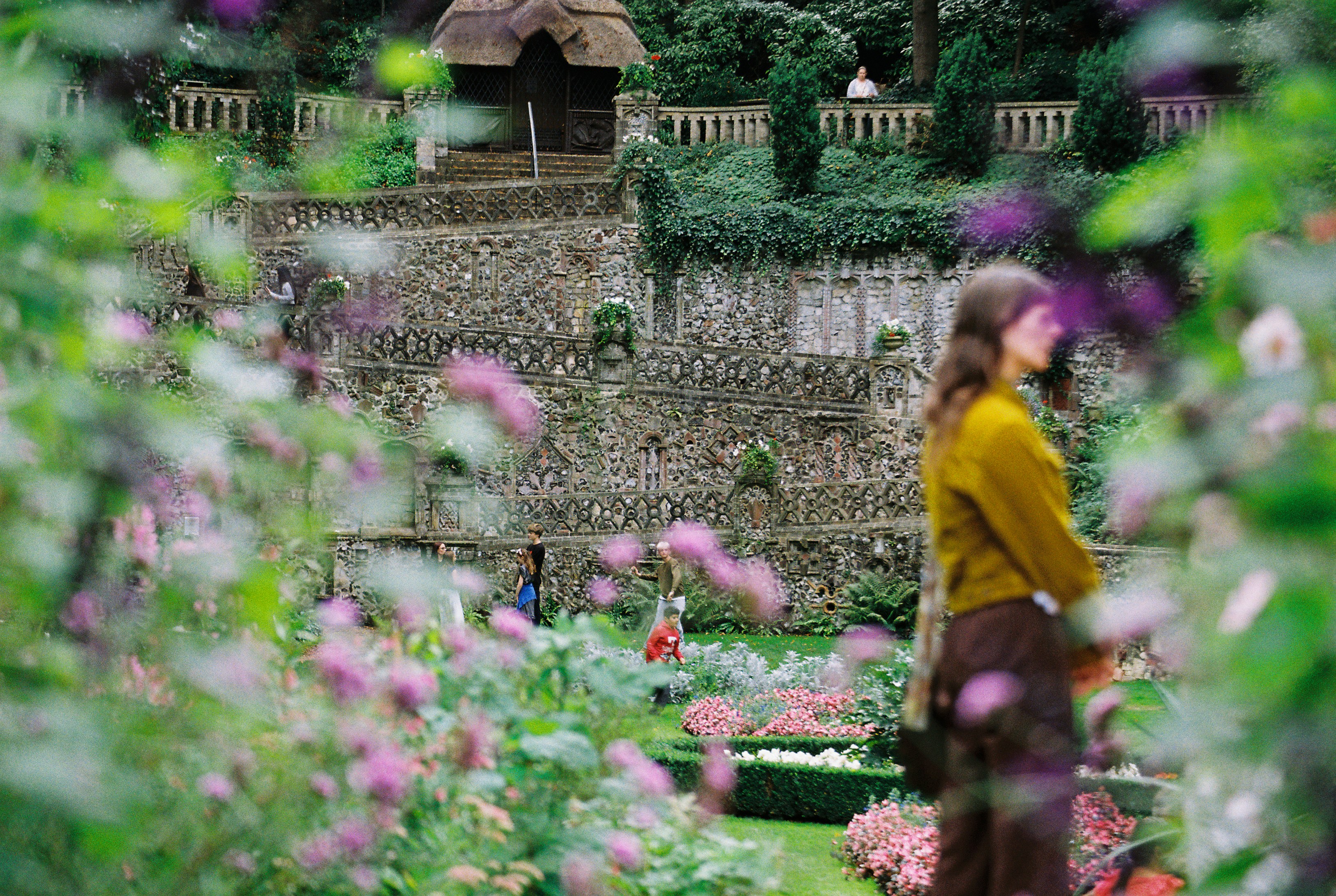 Golden Attendee in a Blooming Terrace