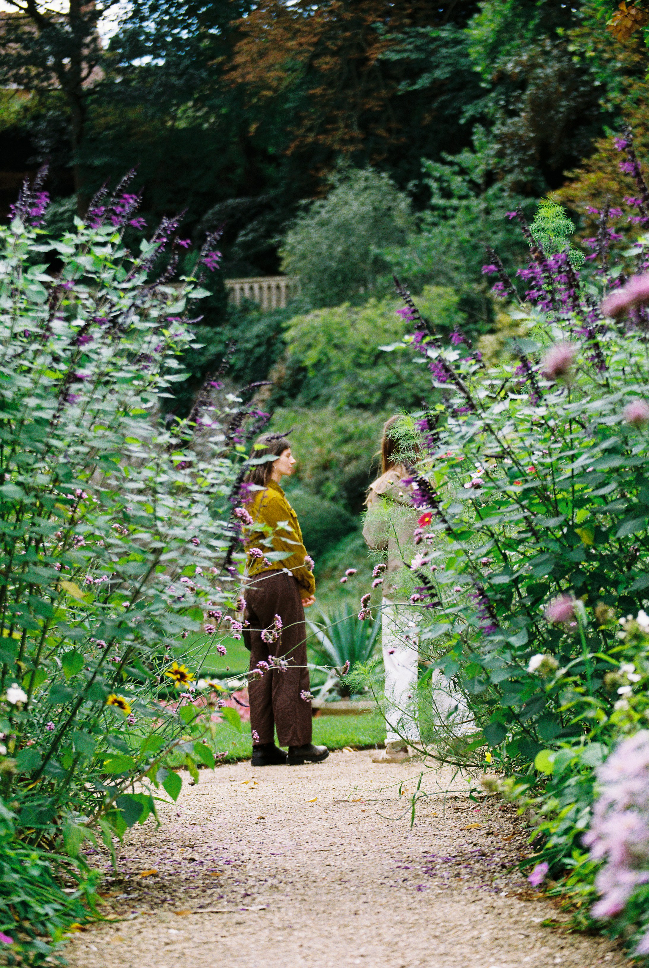 Between the Blooms: A Quiet Moment in the Garden