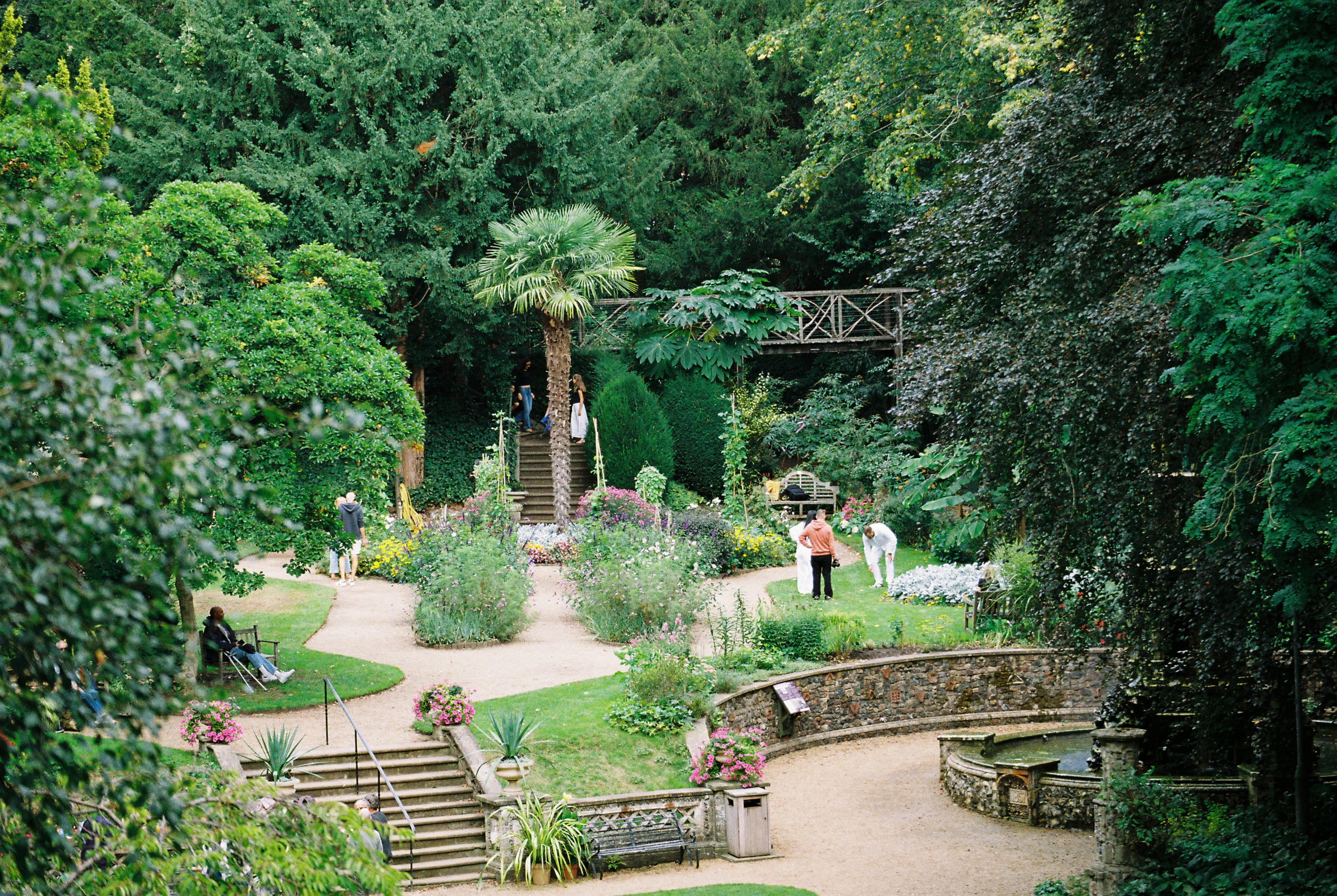 Garden Serene: A Terrace Path in Dappled Light