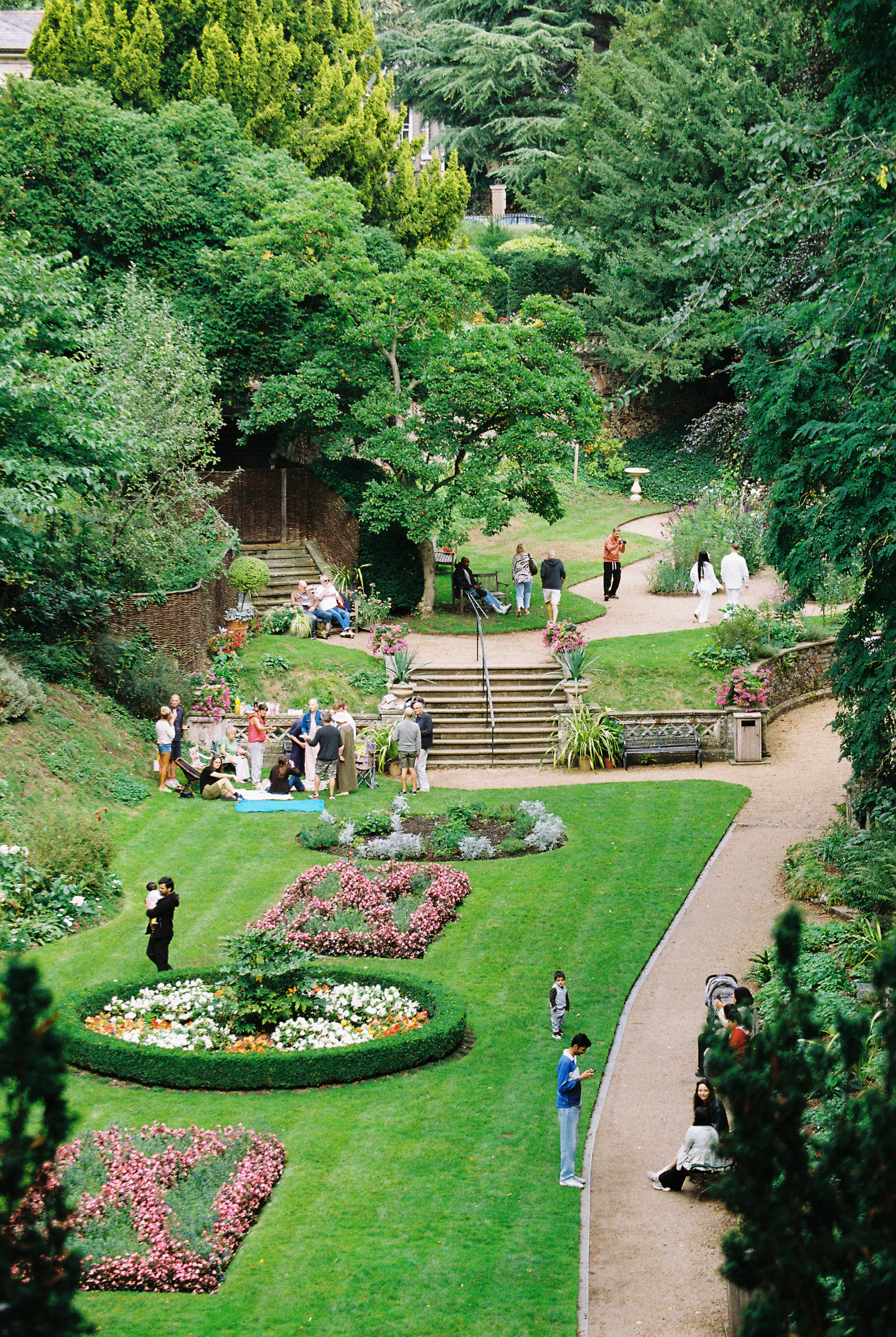 Garden Party Amid Terraced Blossoms