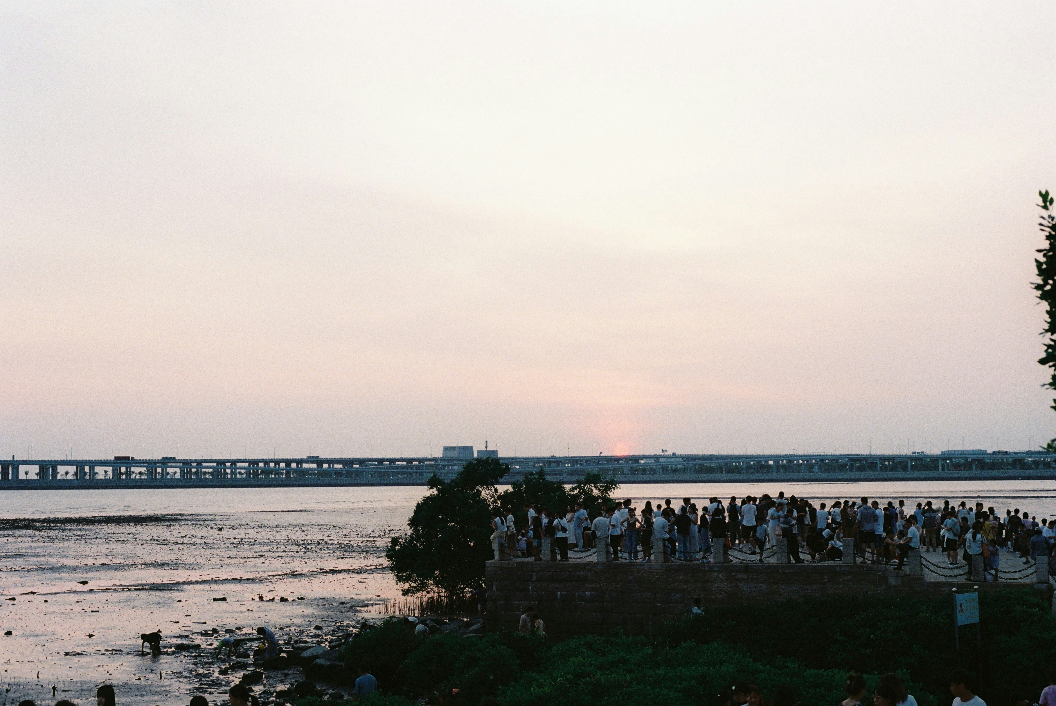 Sunset Convergence over a Crowded Pier