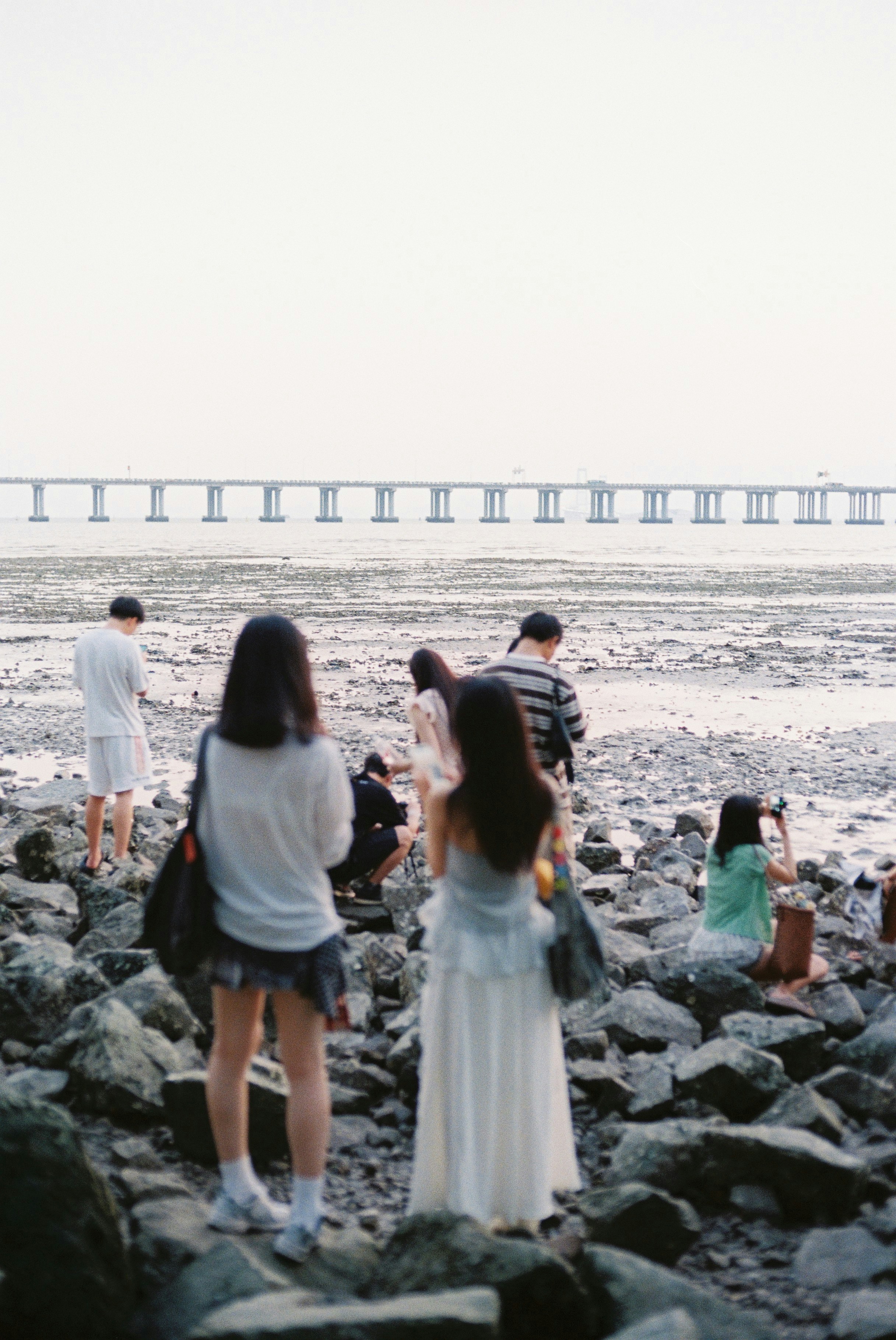 Rugged shoreline Portrait: Friends Gathered by the Tide